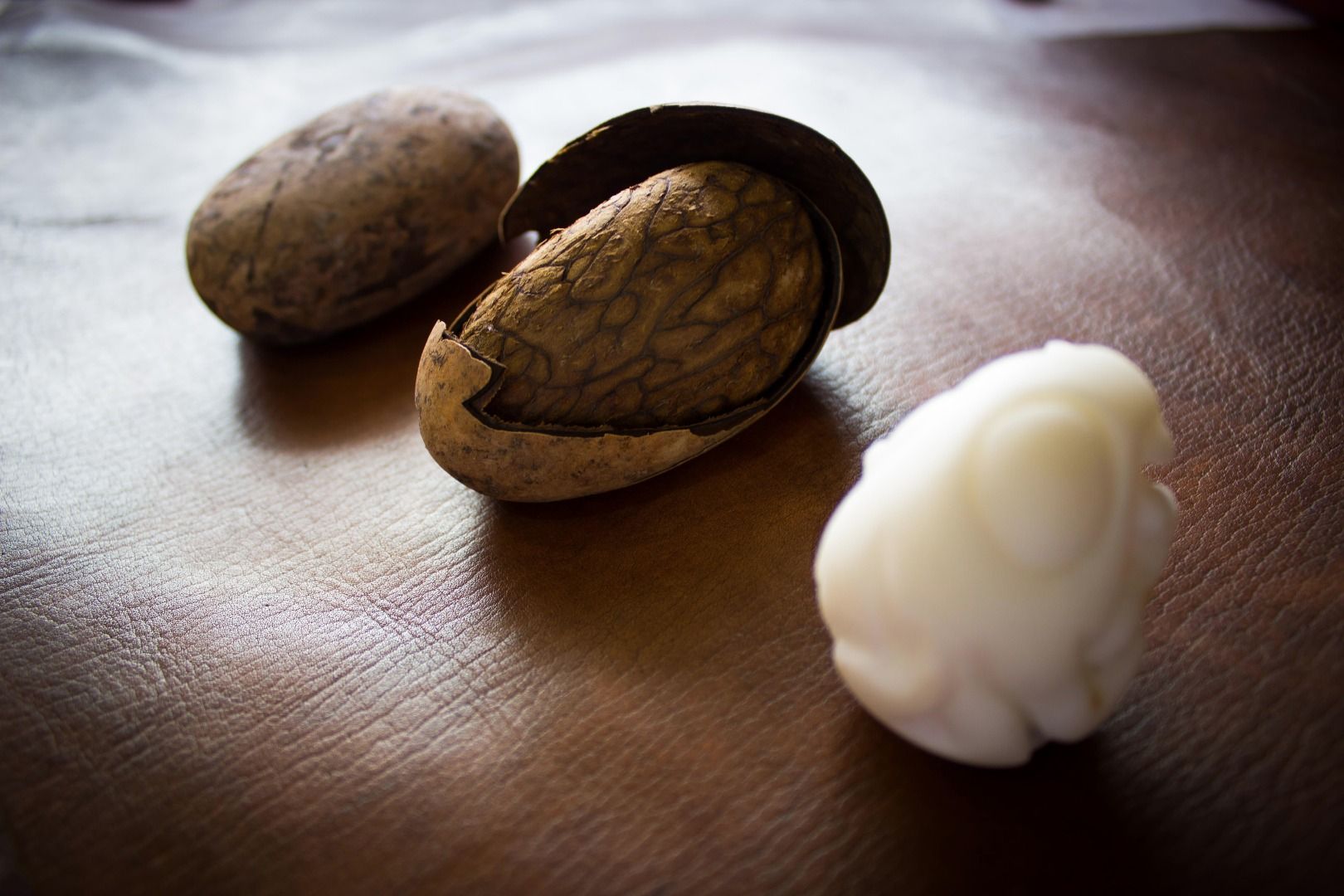 Carved Vegetable Ivory (Tagua) Bracelet : 16 Steps (with Pictures ...