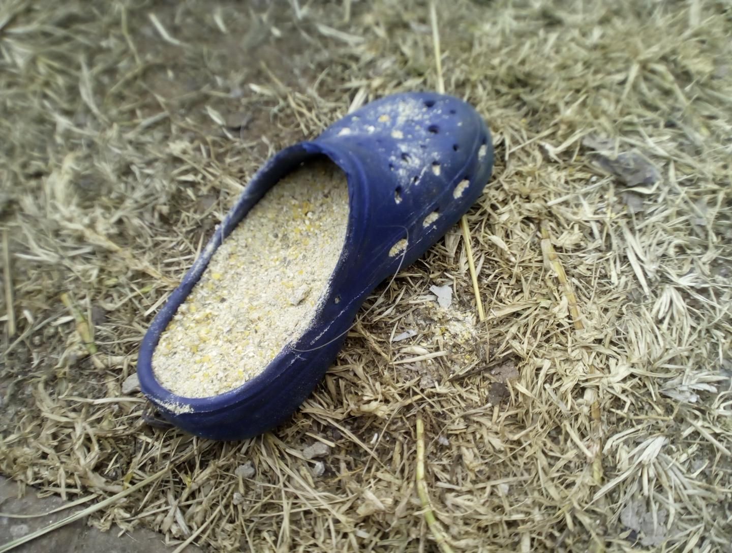 How to Make a Bird Feeder Out of a Shoe DIY : 3 Steps - Instructables