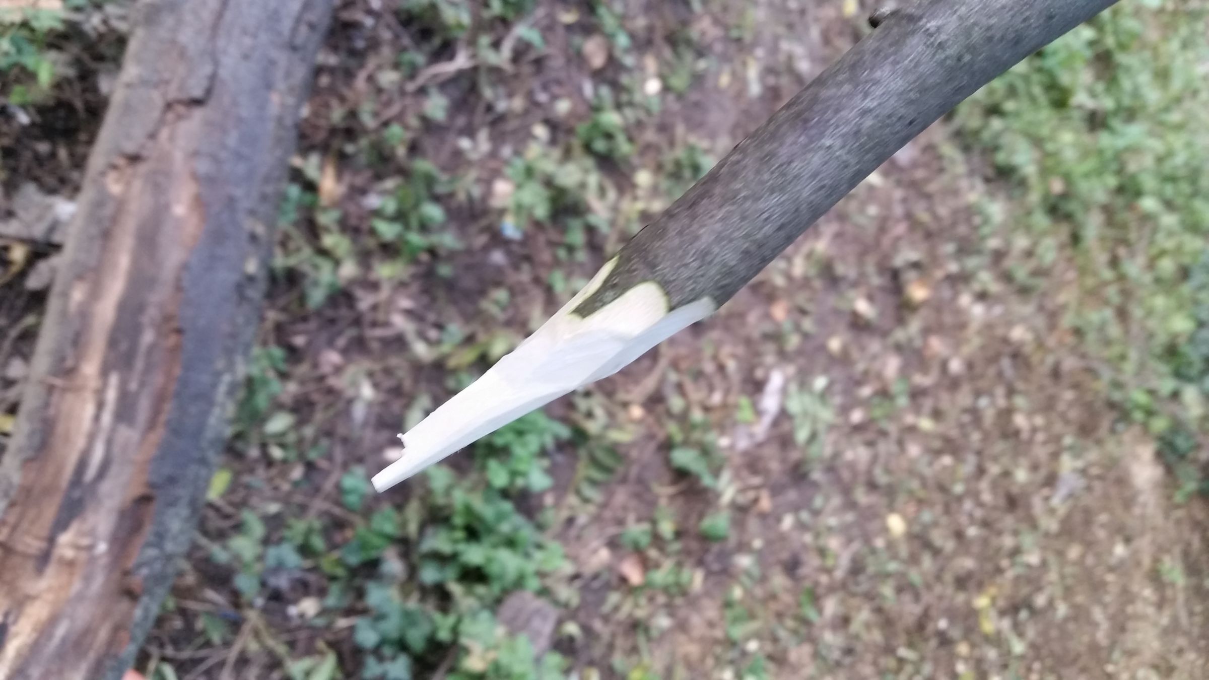 Primitive Smart Fishing : 8 Steps (with Pictures) - Instructables