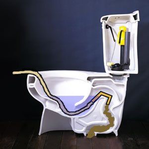 CatGenie: How to Use Less Water and Keep the Toilet Clean : 4 Steps ...
