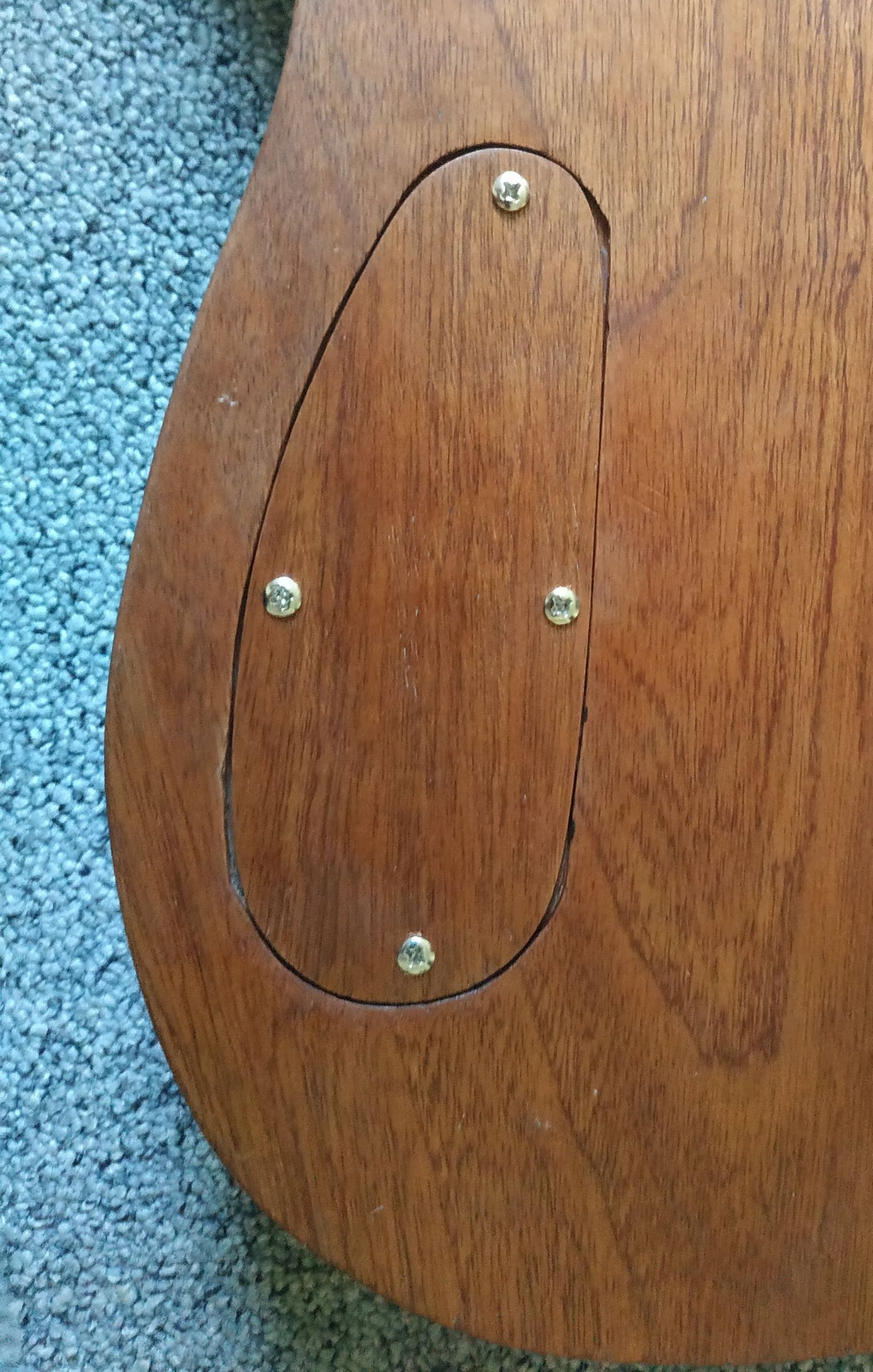 Building a Guitar: Telecaster Thinline : 12 Steps (with Pictures ...