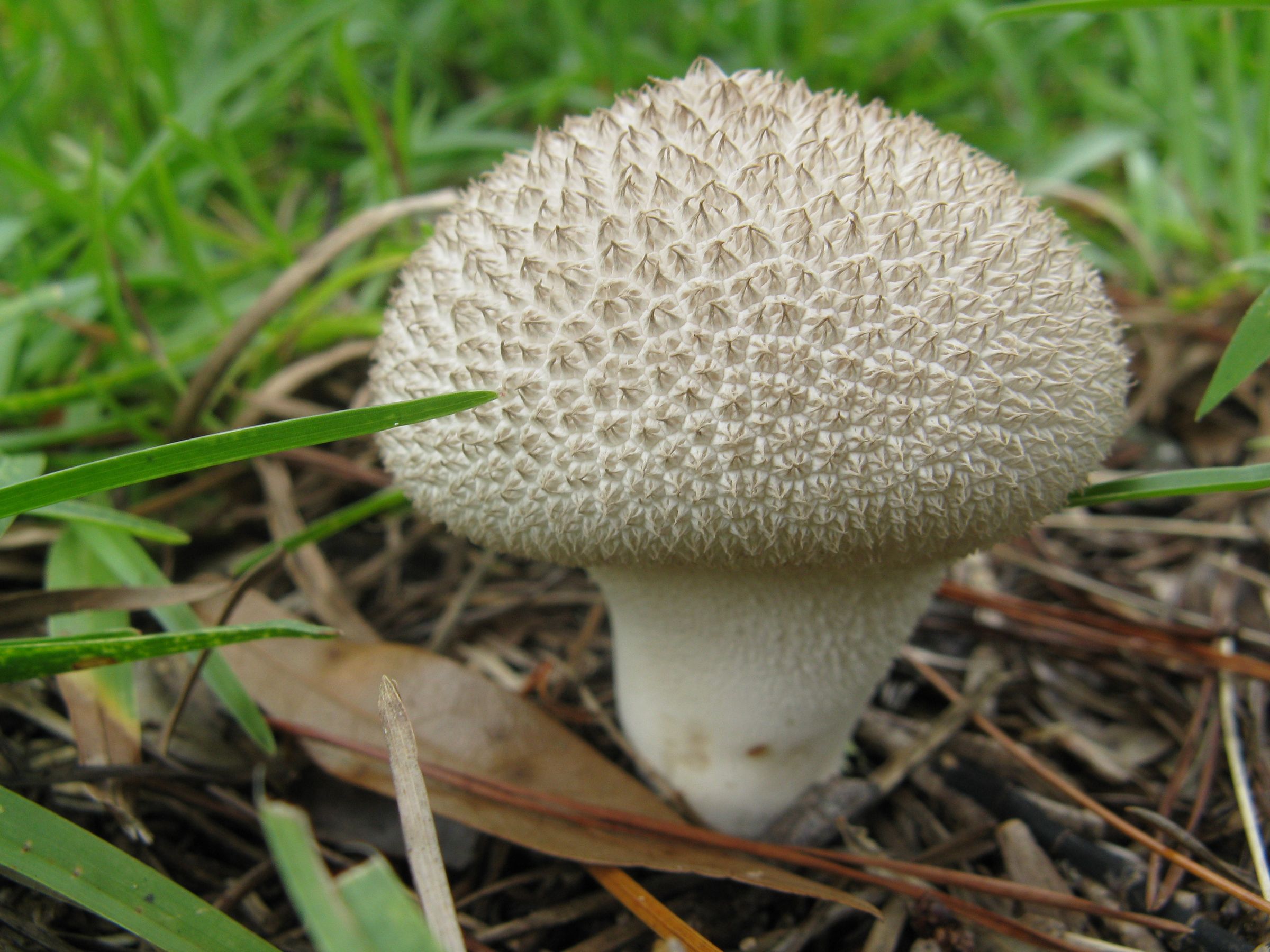 Making a Bola : 11 Steps - Instructables