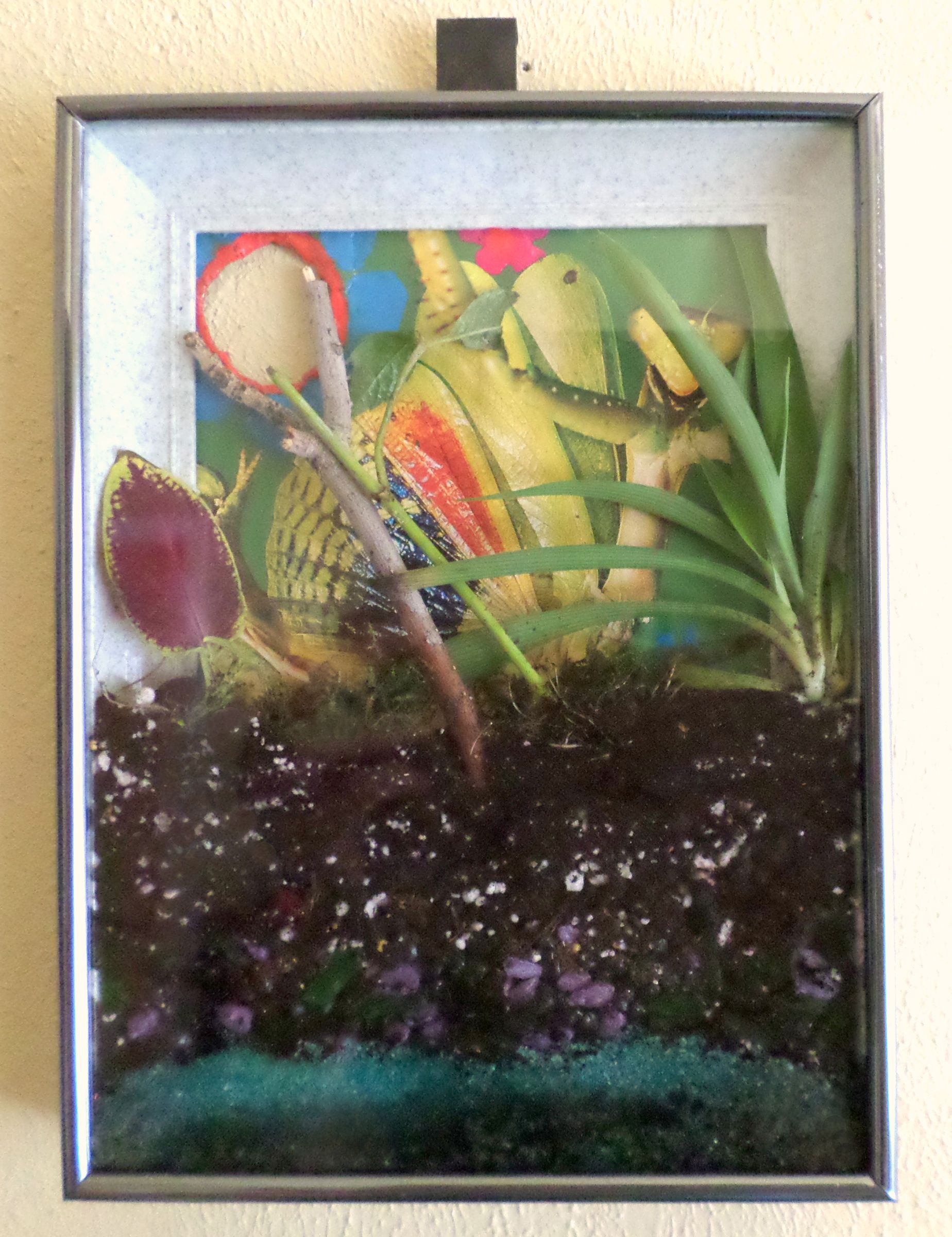 Picture Frame Terrarium : 13 Steps (with Pictures) - Instructables