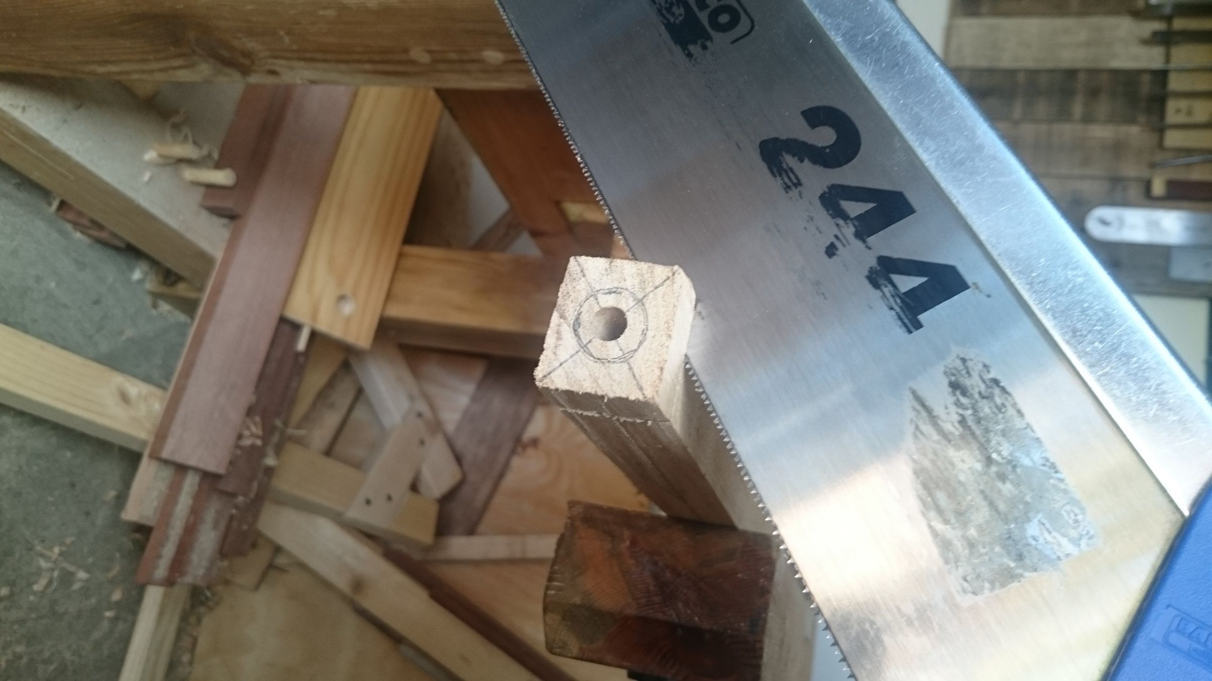Bark Scraper From a Cheap Chisel : 6 Steps (with Pictures) - Instructables
