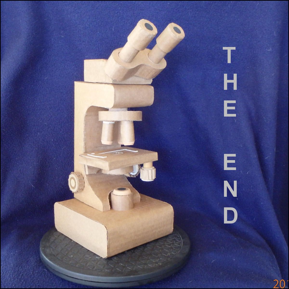 Make a Cardboard Binocular Microscope : 7 Steps (with Pictures ...