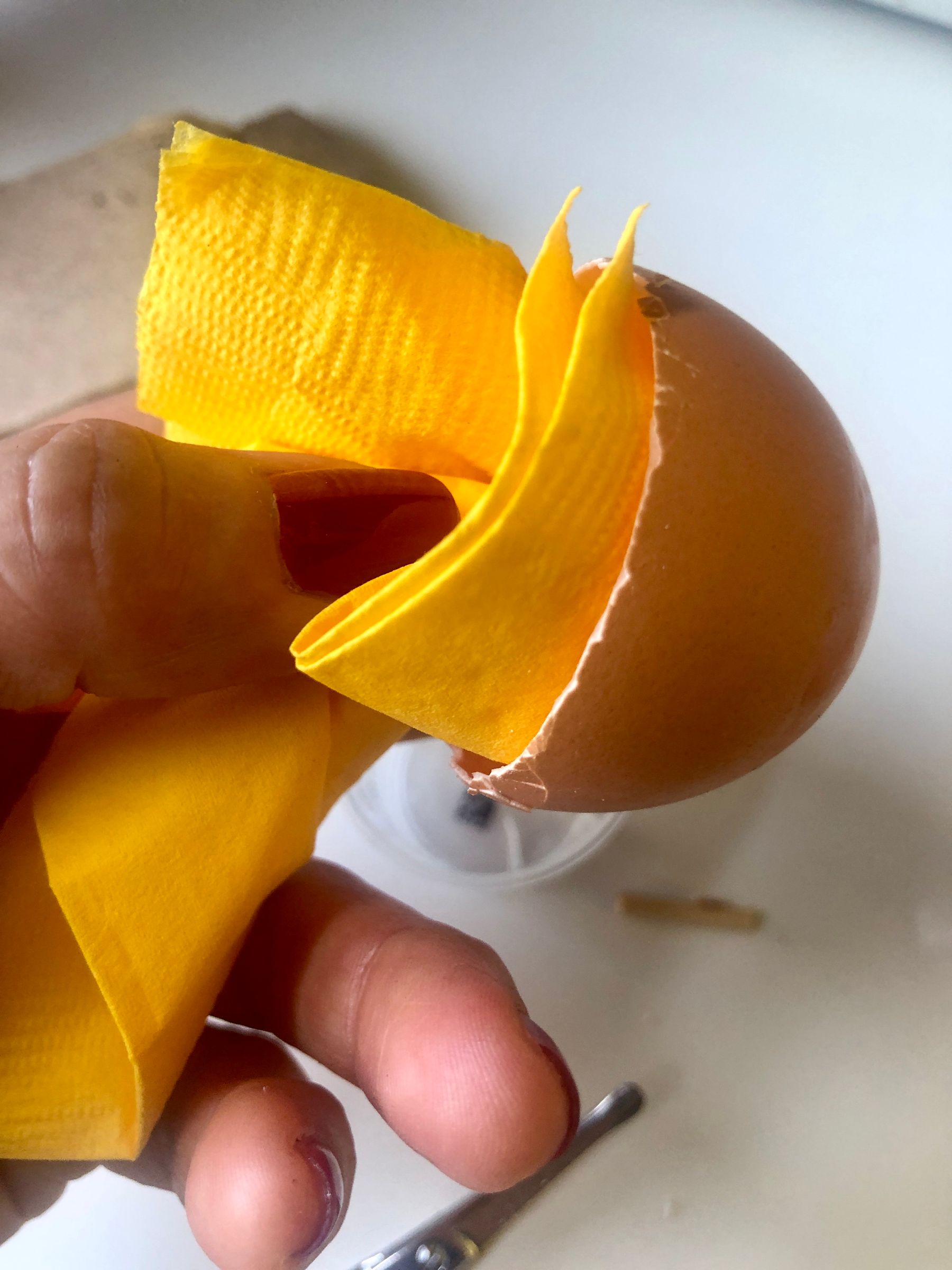 Make a Micro Eggshell Planter Out of Cement for Tiny Succulent Plants ...