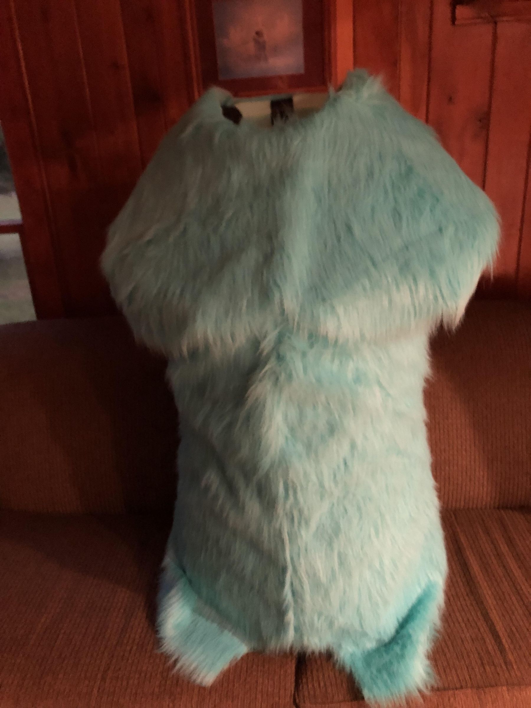 Sulley (Trademark Disney) Monster Homemade Halloween Costume : 11 Steps ...