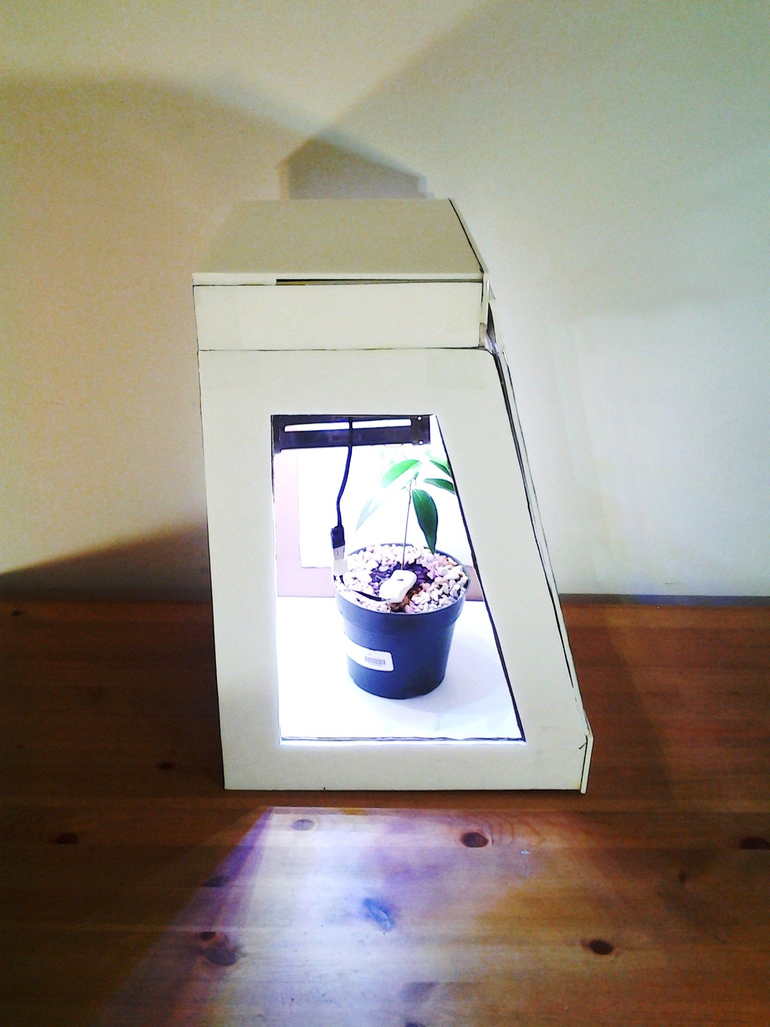 The Plant Box : 6 Steps - Instructables