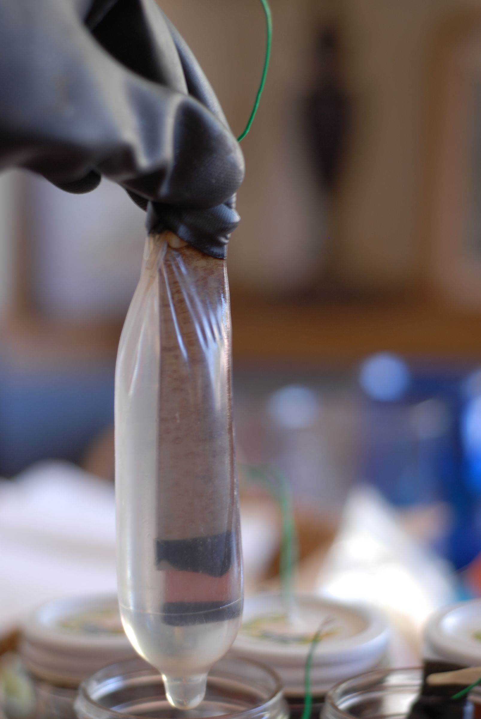 Building a "Baghdad Battery" : 10 Steps (with Pictures) - Instructables