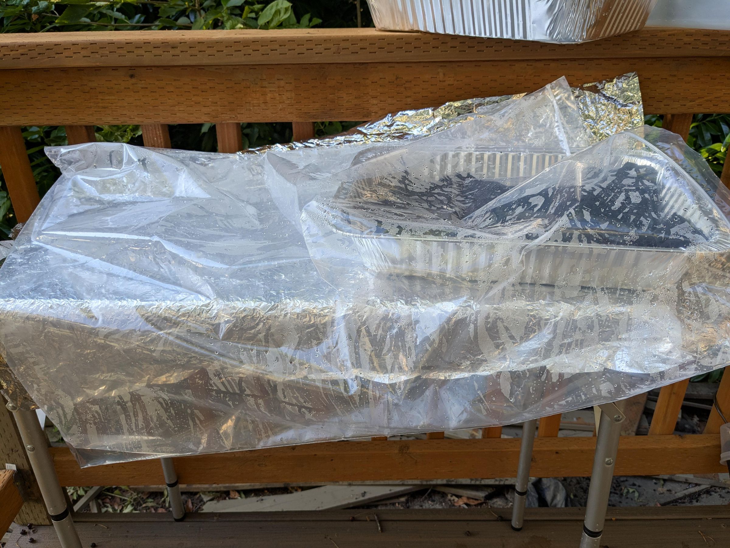 $8 Ziploc Emergency Solar Still : 13 Steps (with Pictures) - Instructables
