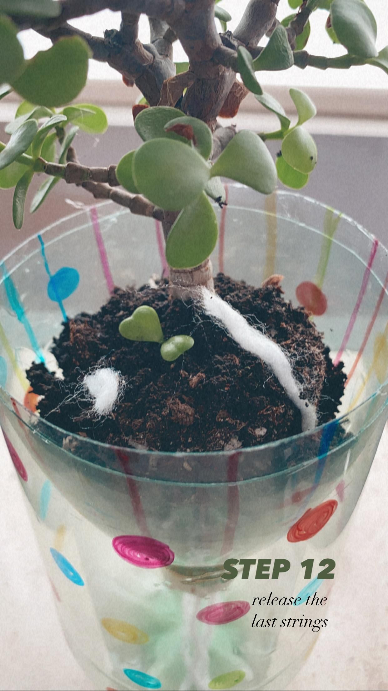 Self-Watering Recycled Planter : 15 Steps - Instructables