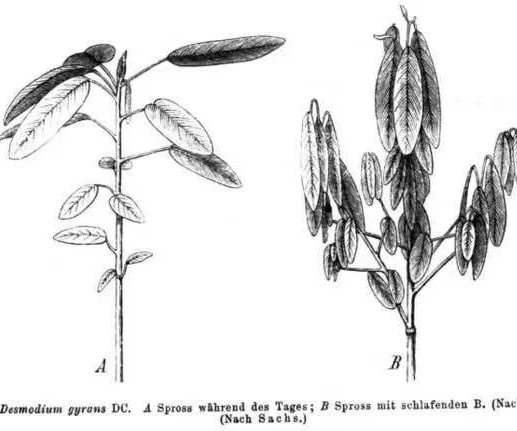 Simulating the Movement of Dancing Grass : 7 Steps - Instructables