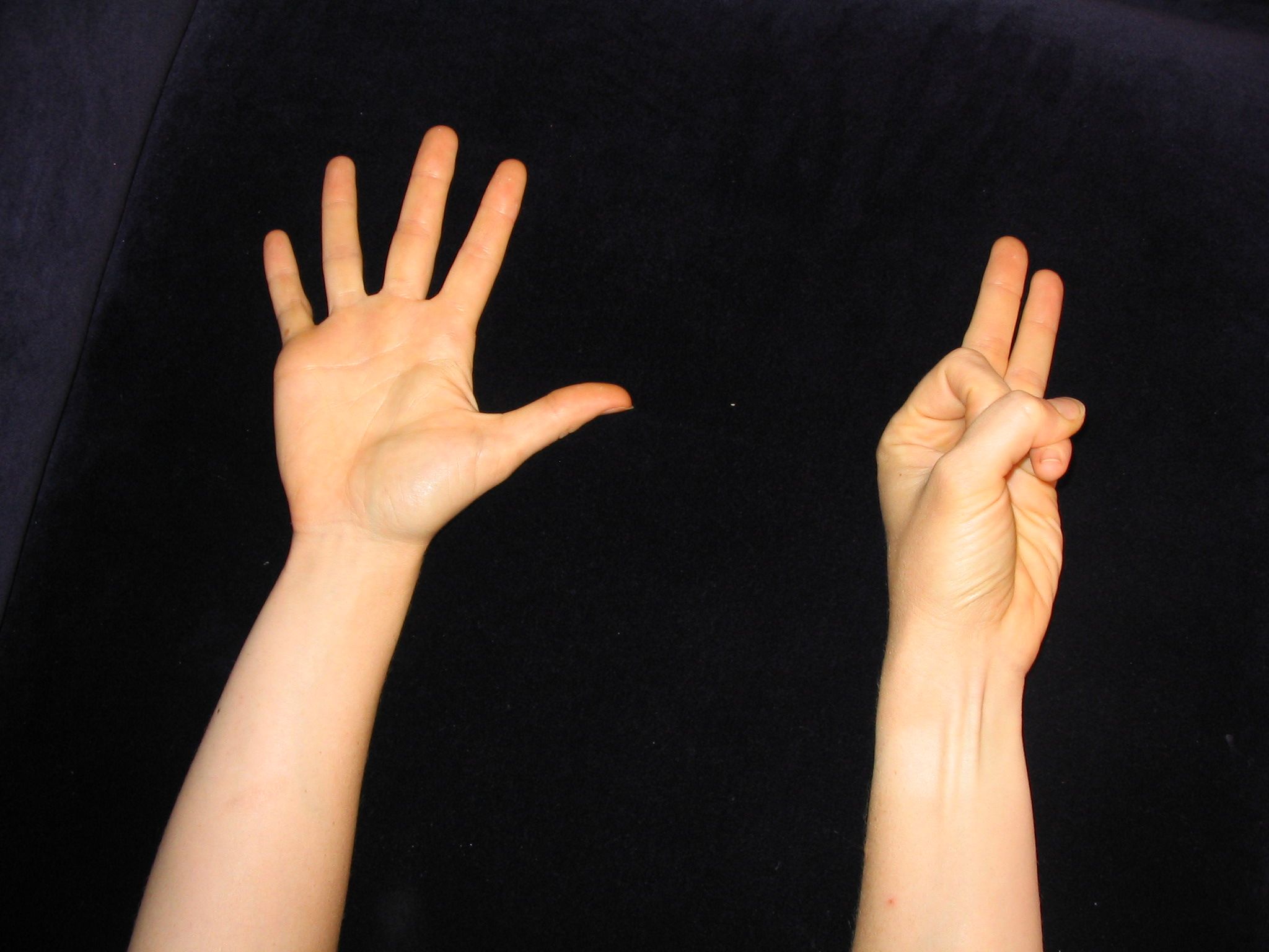 Mouse Toe Numbering Scheme : 5 Steps - Instructables