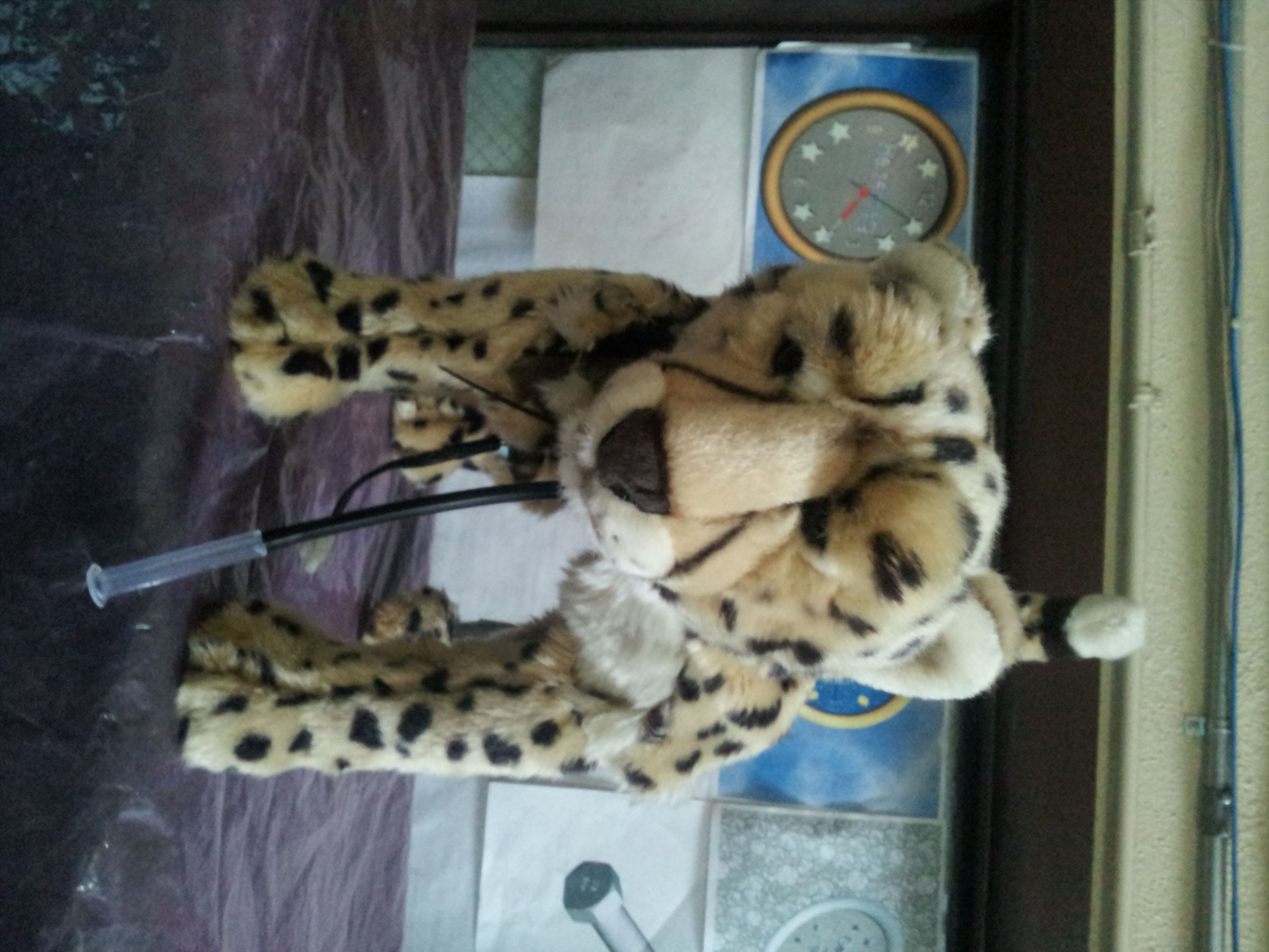 How to Make Your Own Robot Cheetah : 11 Steps (with Pictures ...