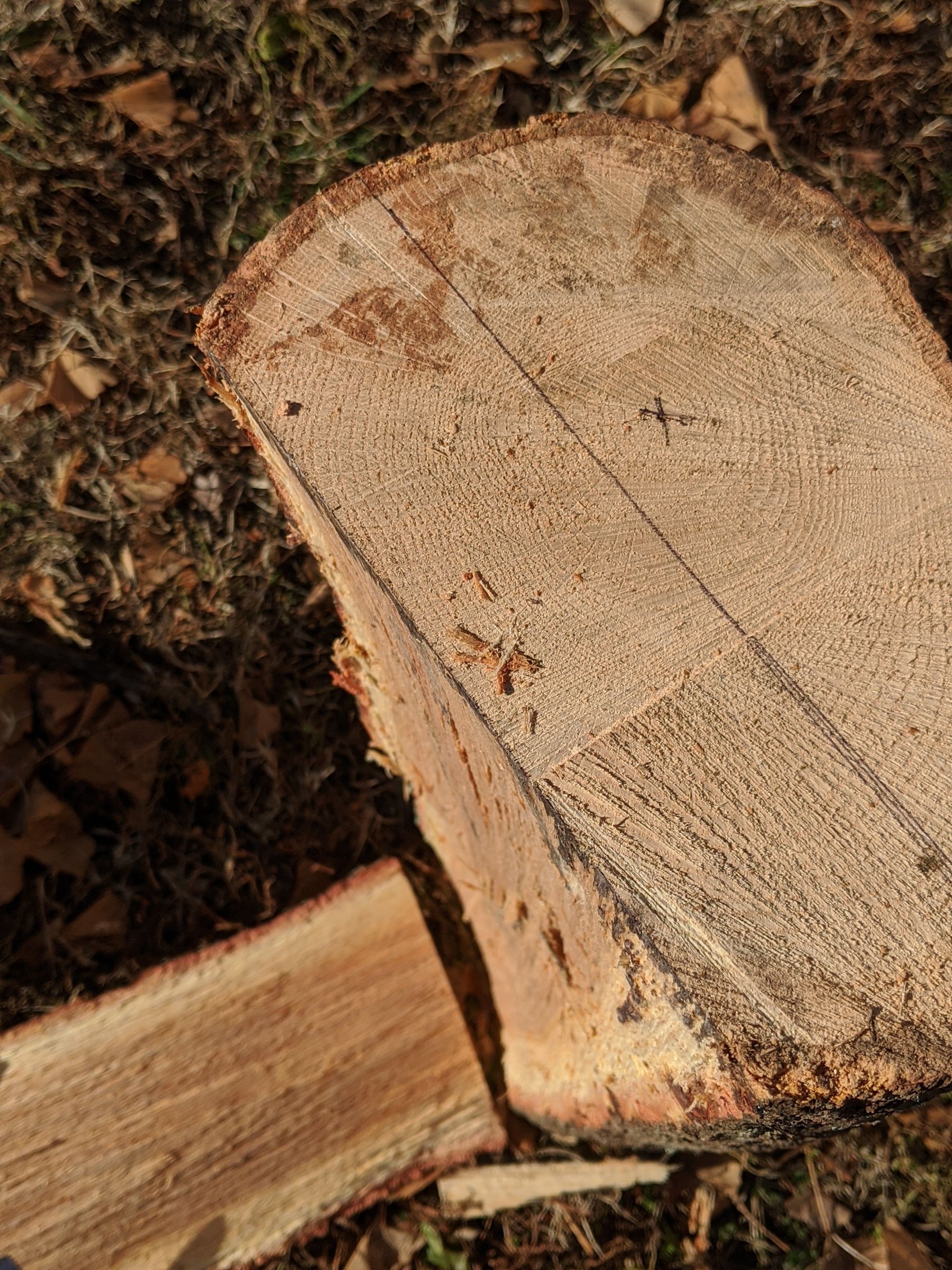 Live Edge Floating Shelf... From Scratch : 14 Steps (with Pictures ...