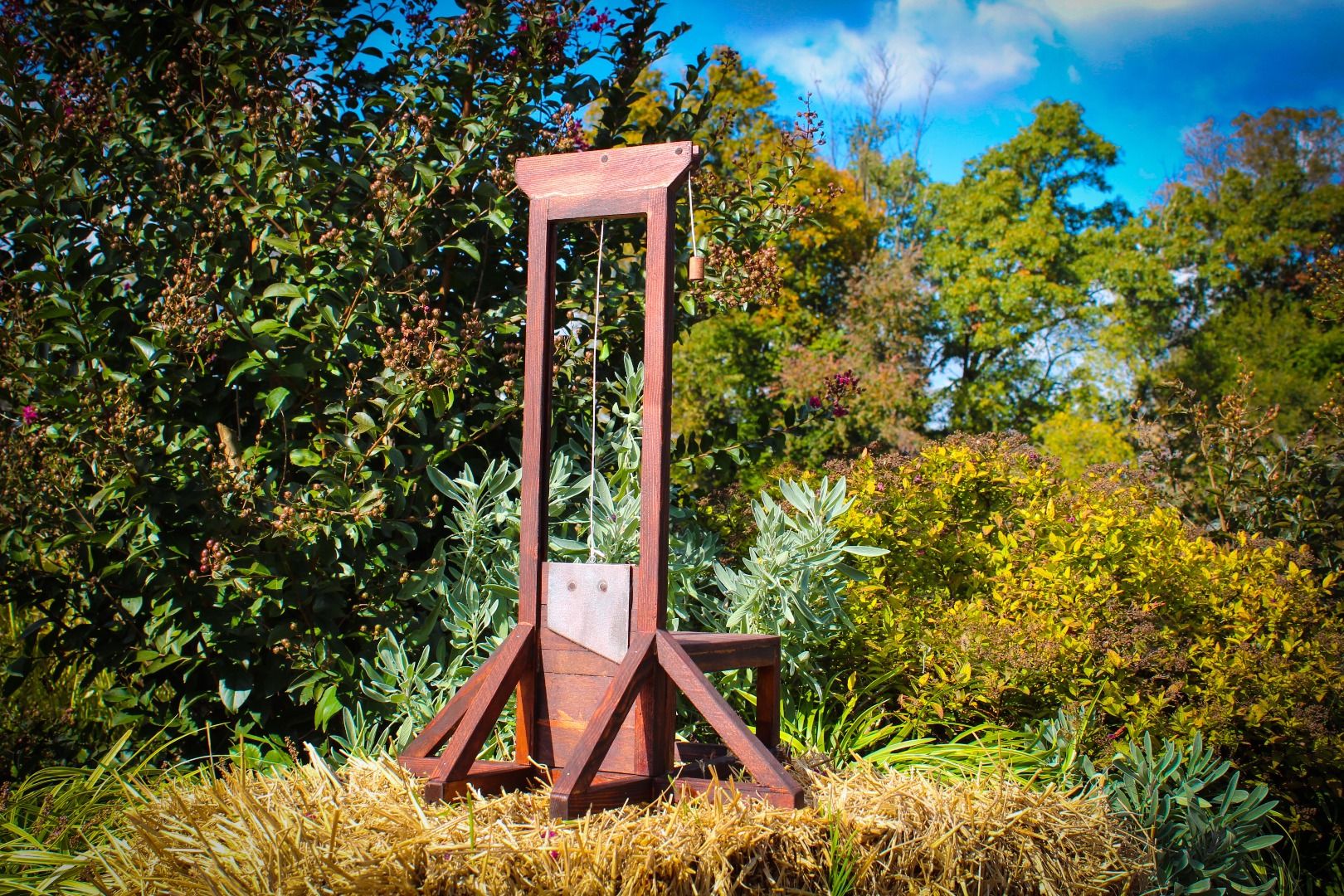 Mini Guillotine : 34 Steps (with Pictures) - Instructables