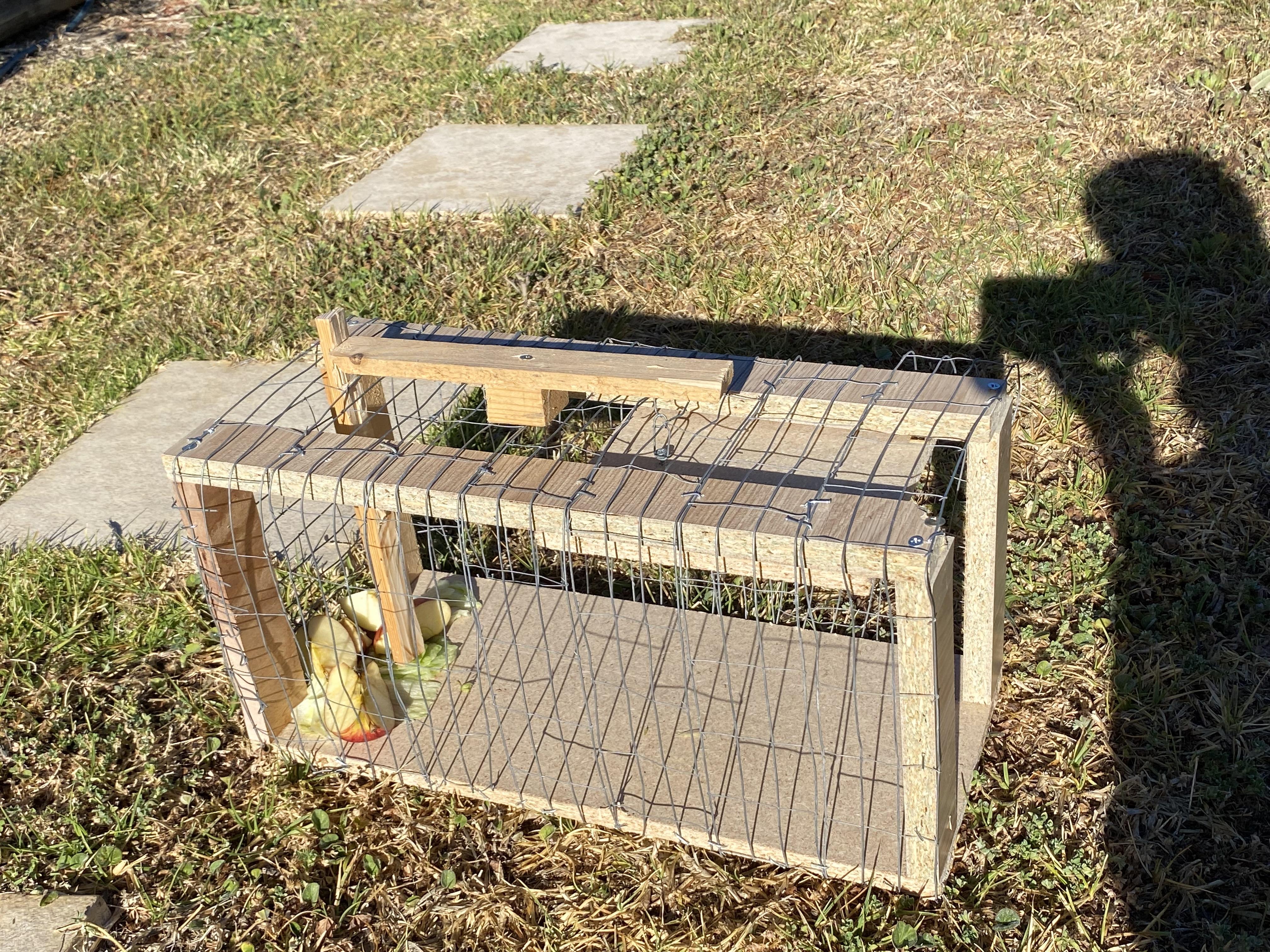 Making a Really Simple Rabbit Trap : 6 Steps - Instructables