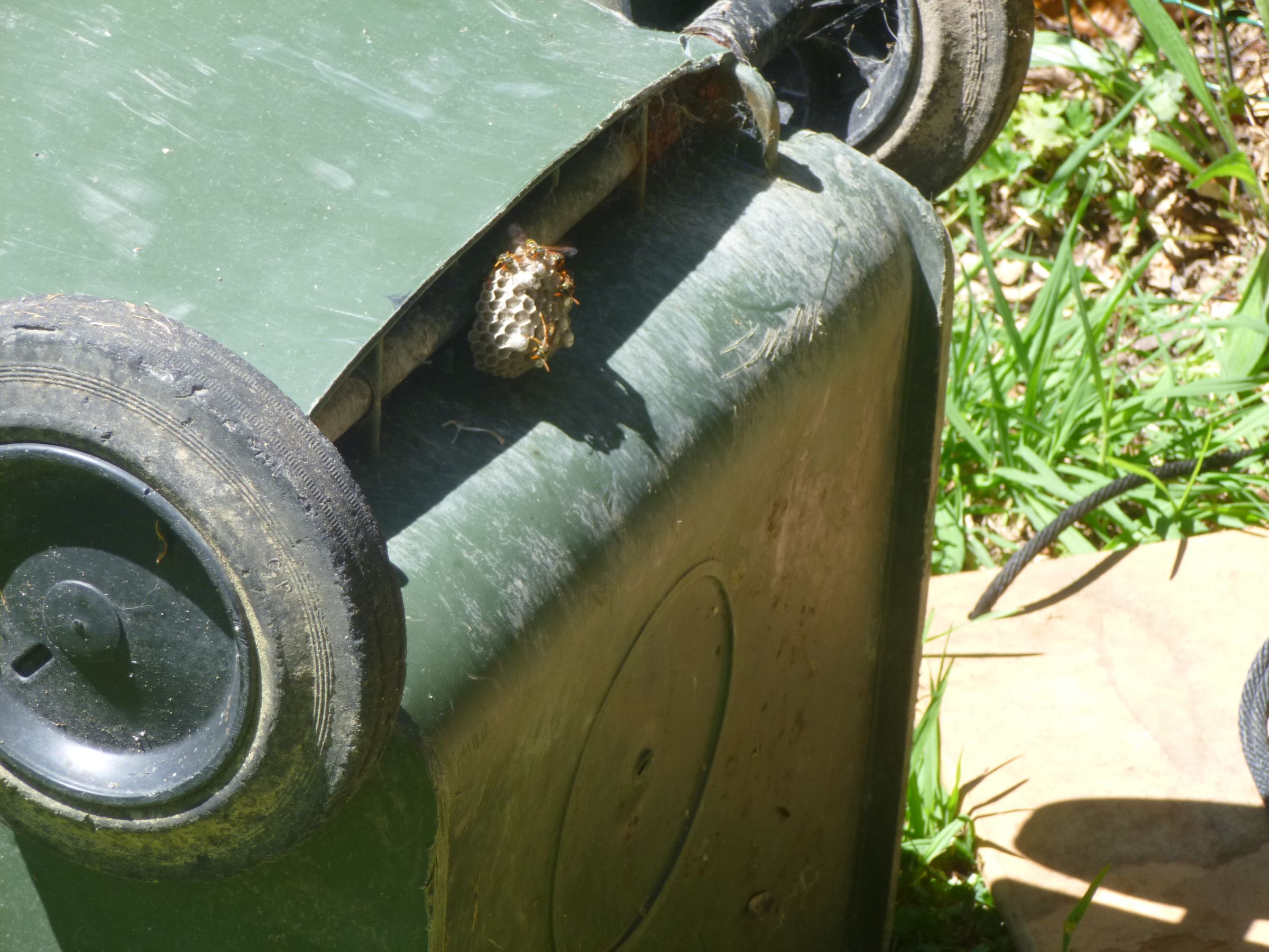 Fit an Adjustable Floor to a Wheelie Bin Firewood Container : 6 Steps ...