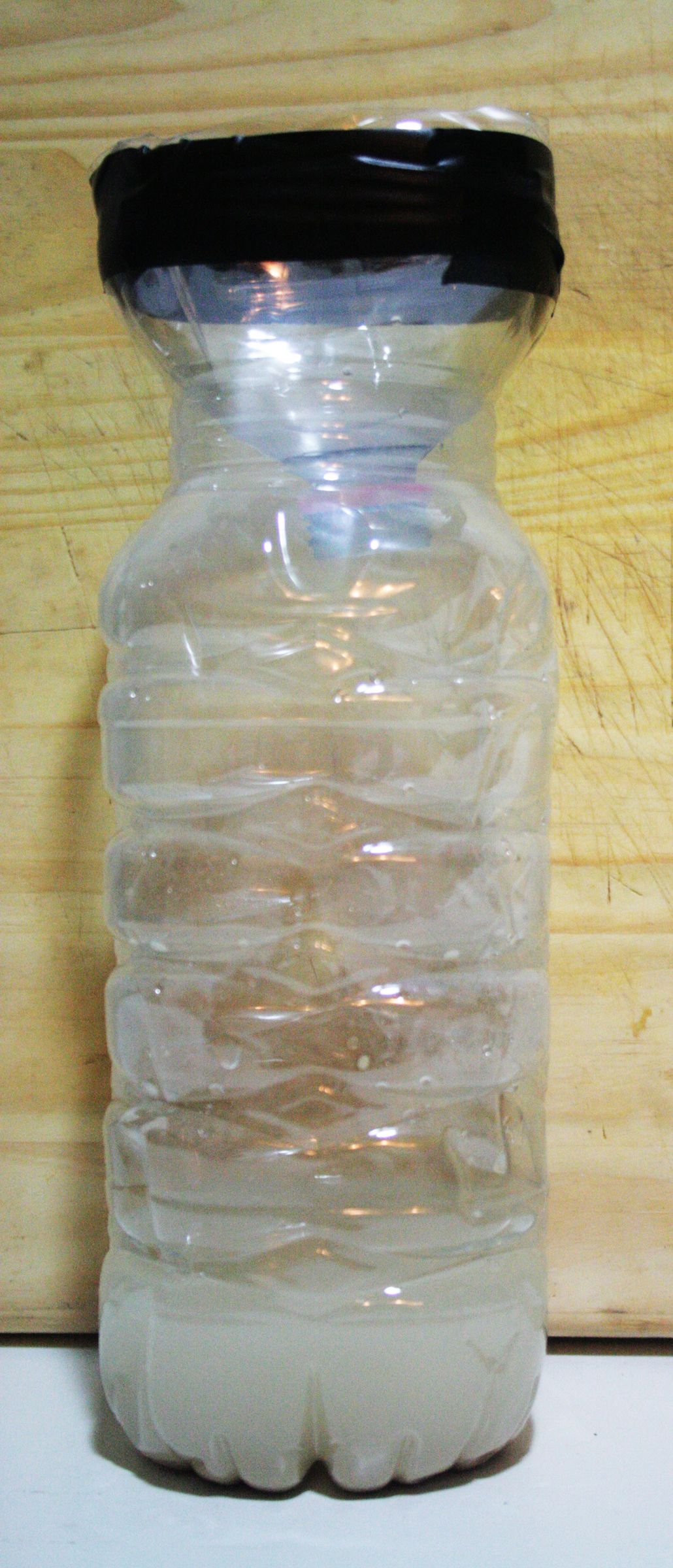 Plastic Bottle Mosquito Trap : 5 Steps (with Pictures) - Instructables
