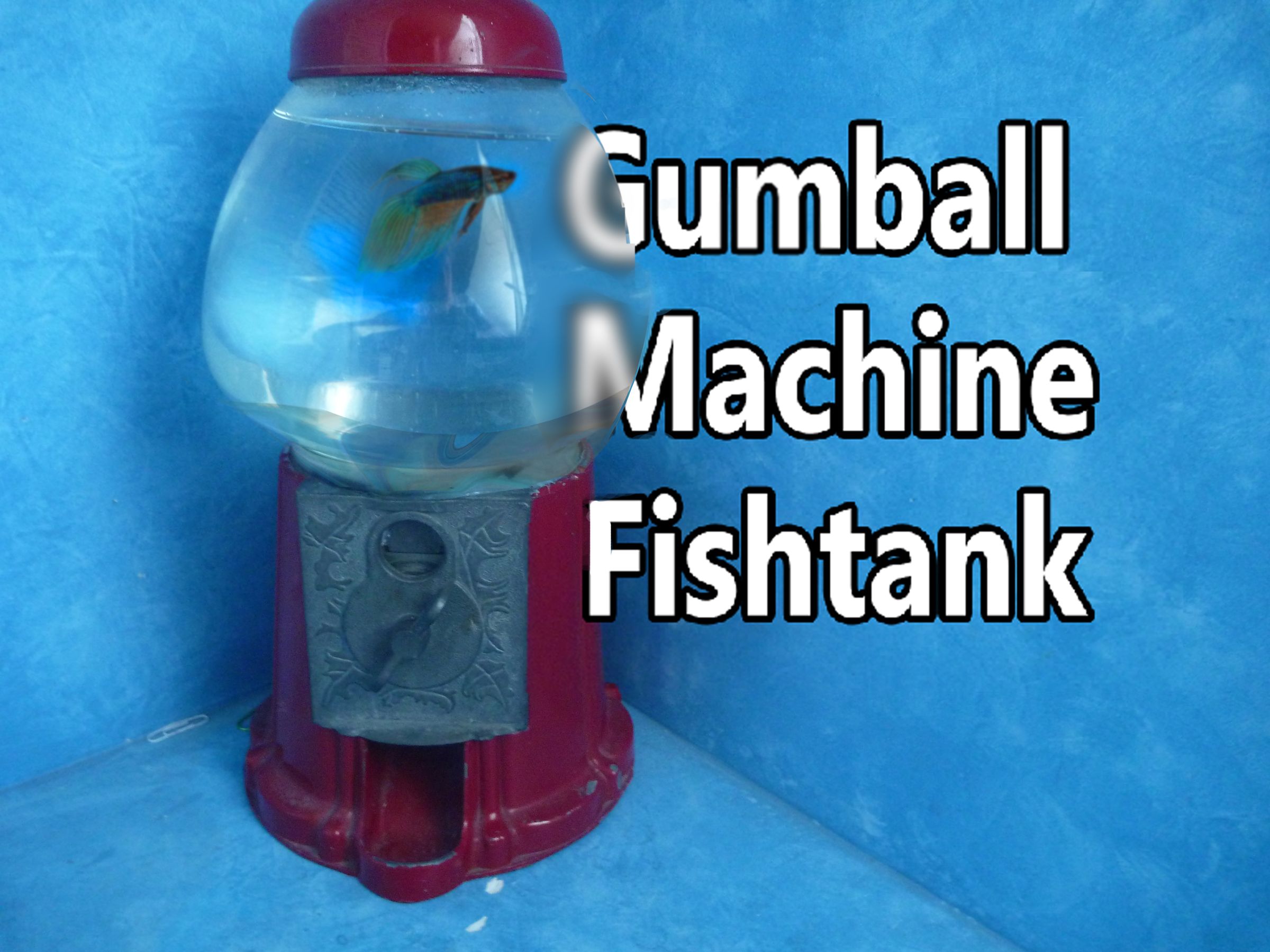 Gumball Machine Fishtank : 7 Steps (with Pictures) - Instructables