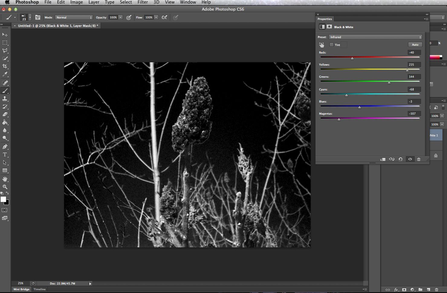 Turning Photographs Into Infrared With Photoshop : 20 Steps (with ...