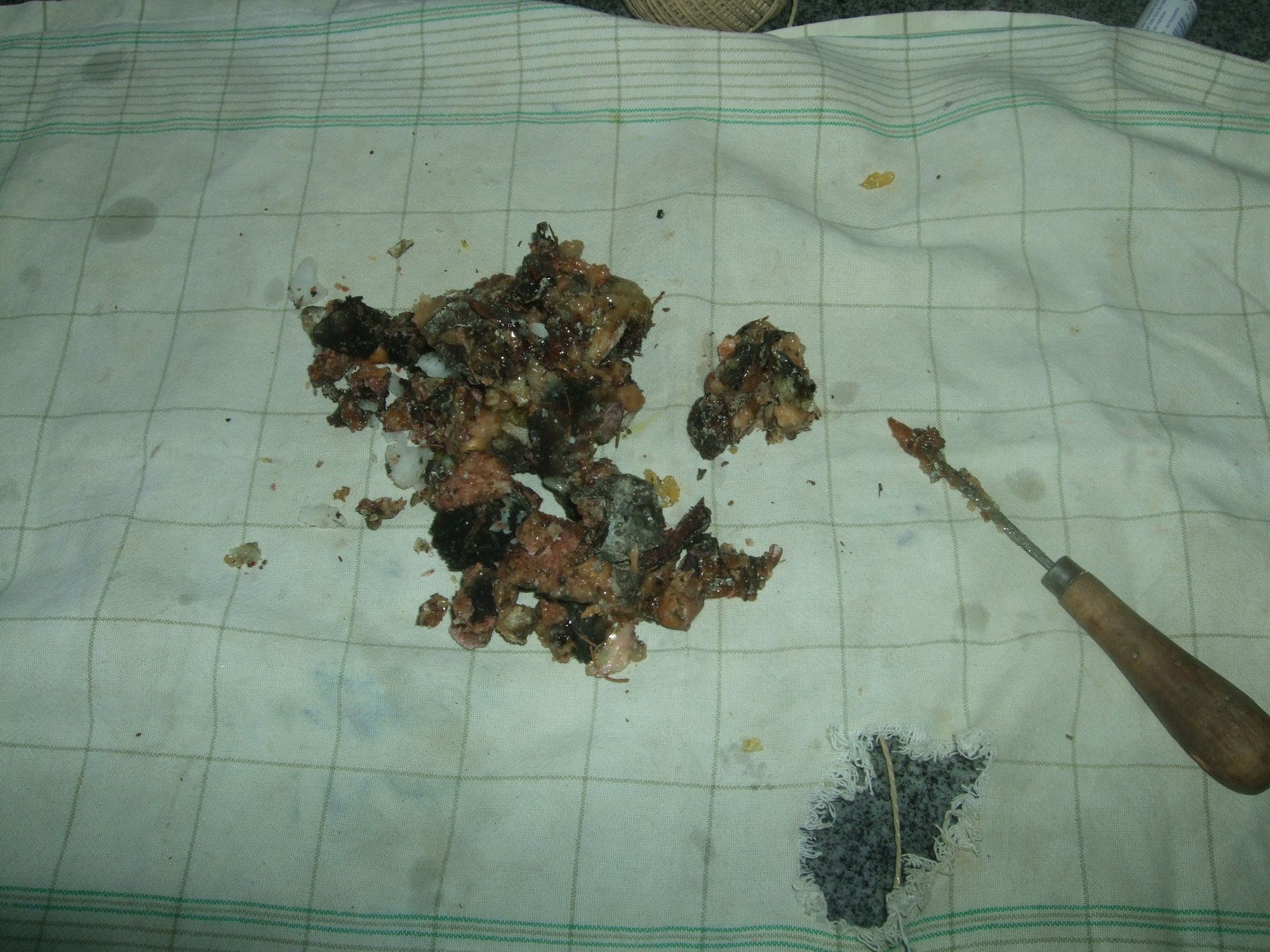 How to Resinate (clean Tree Resin) : 11 Steps - Instructables