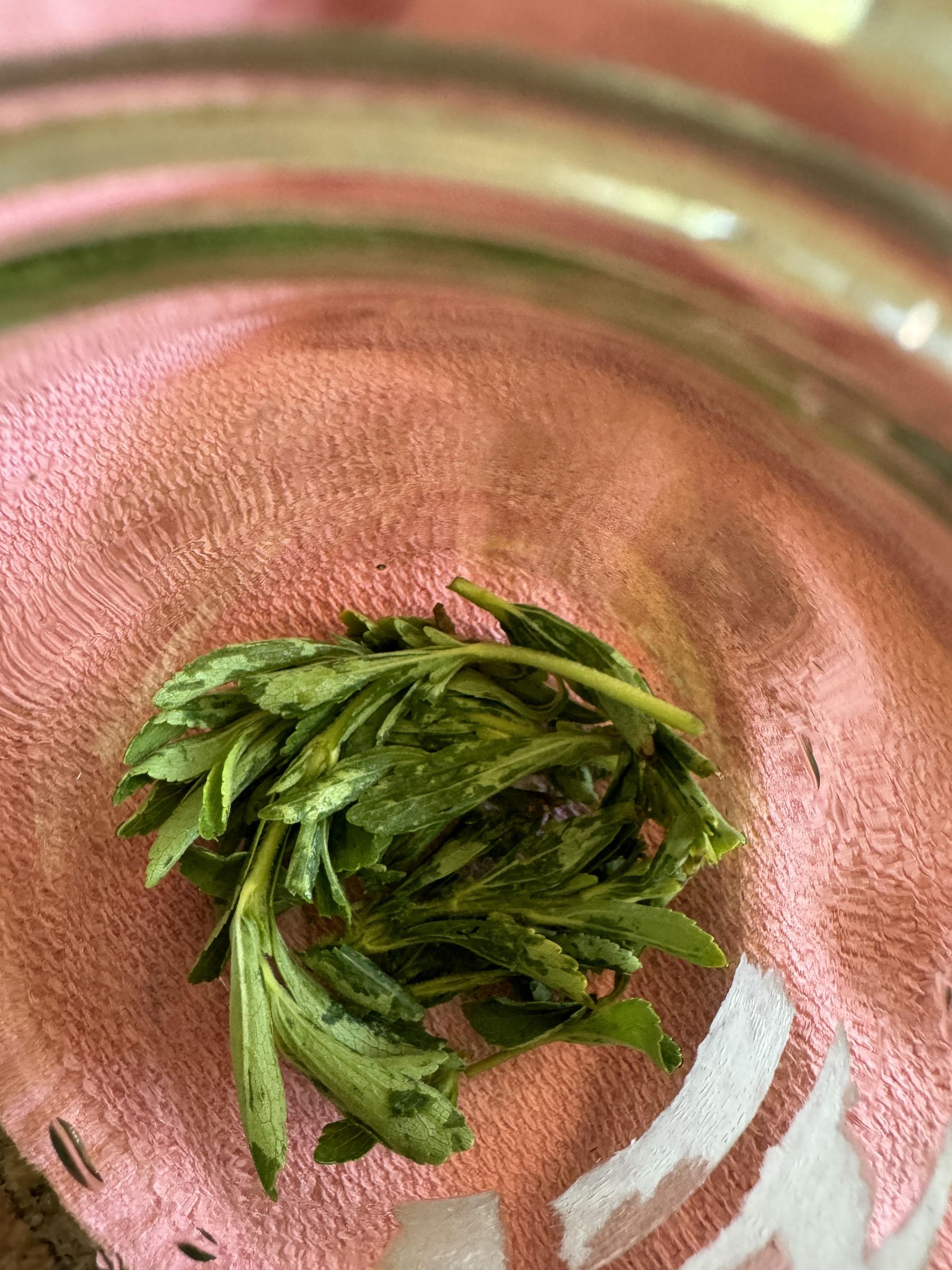 Amazing Sweet Leaf Herb - 100% Natural & Healthy Zero Calorie Sweetener ...
