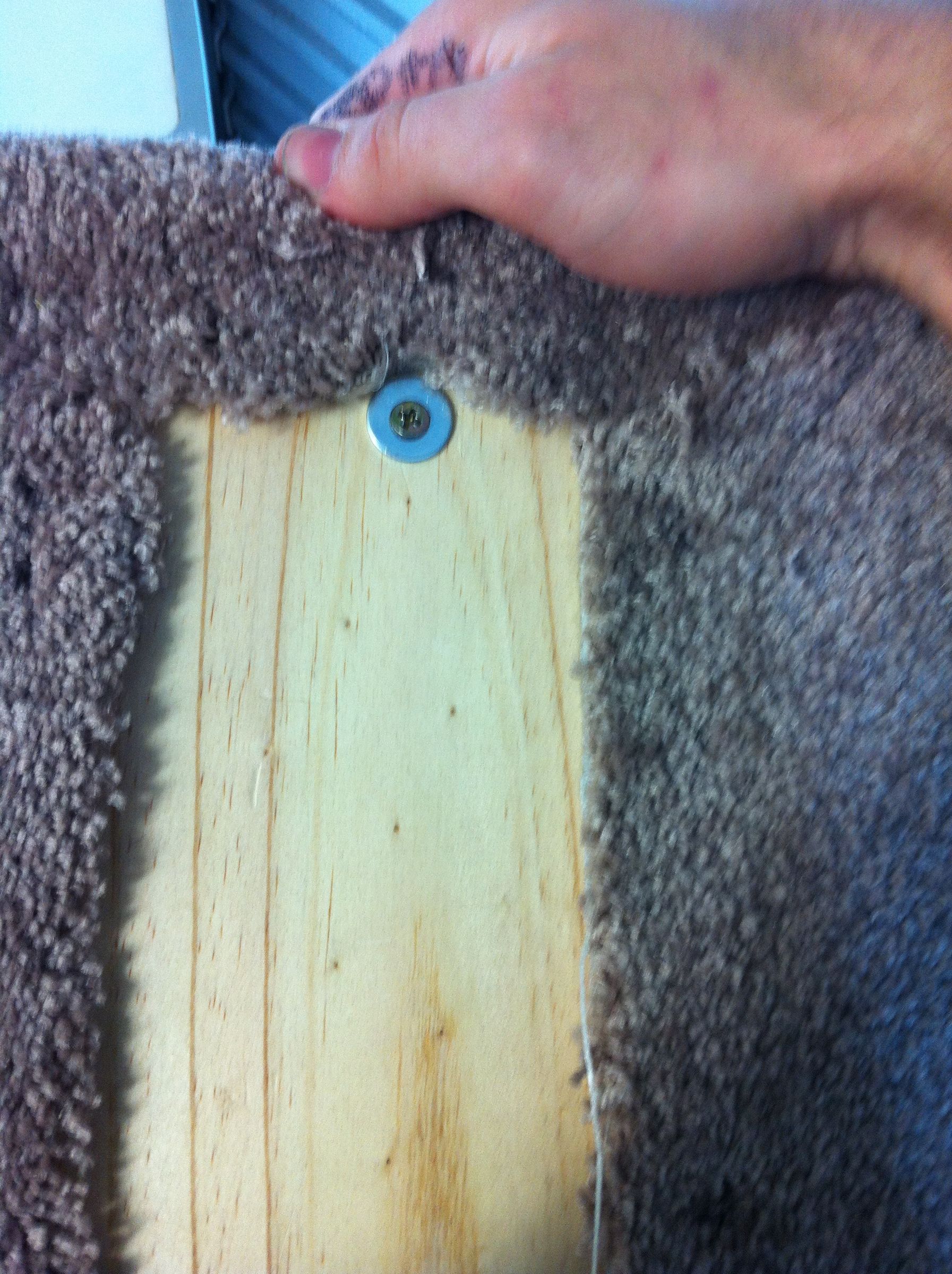 Magnetic Cat Toy : 6 Steps (with Pictures) - Instructables