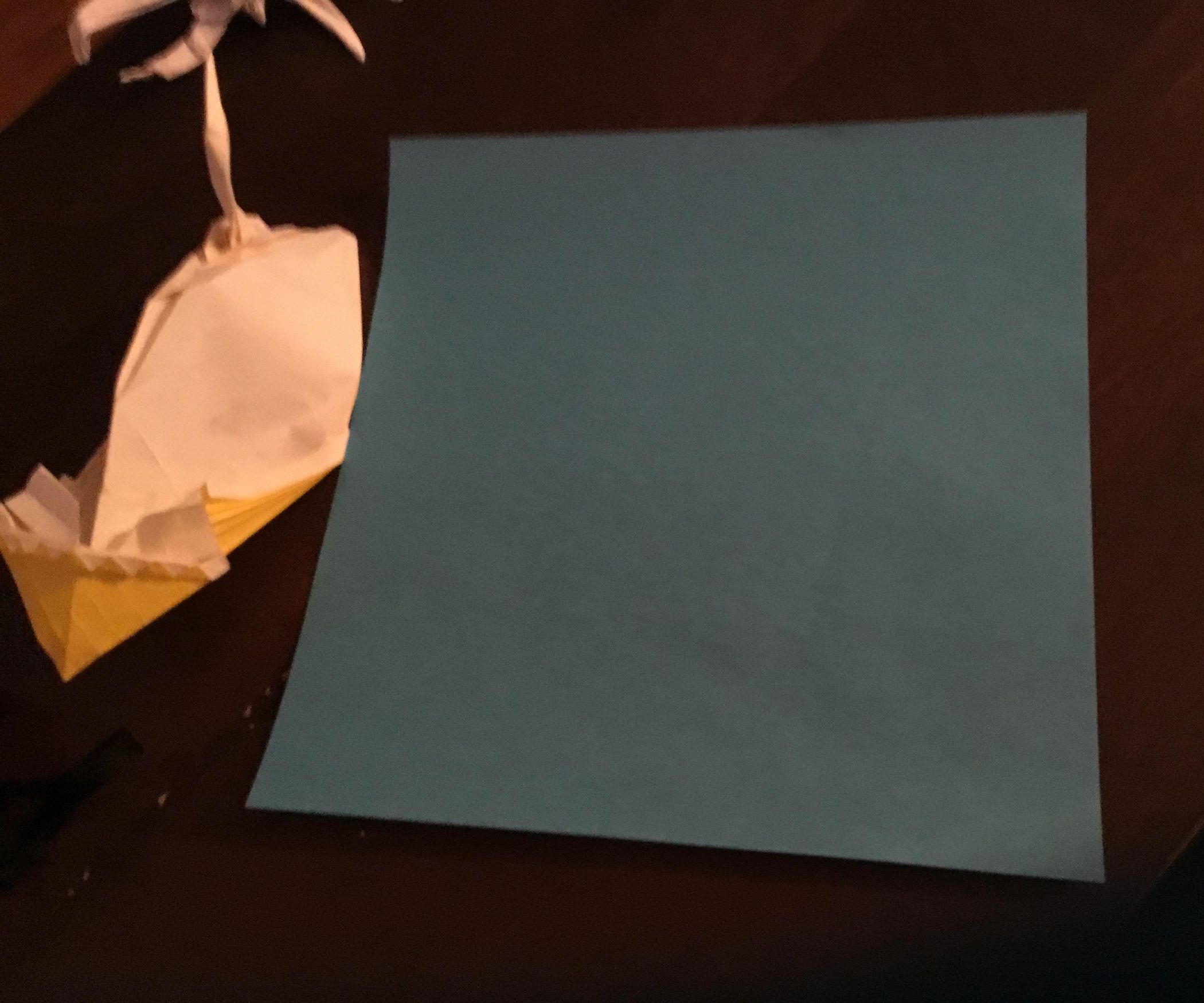 Origami Otter : 4 Steps - Instructables