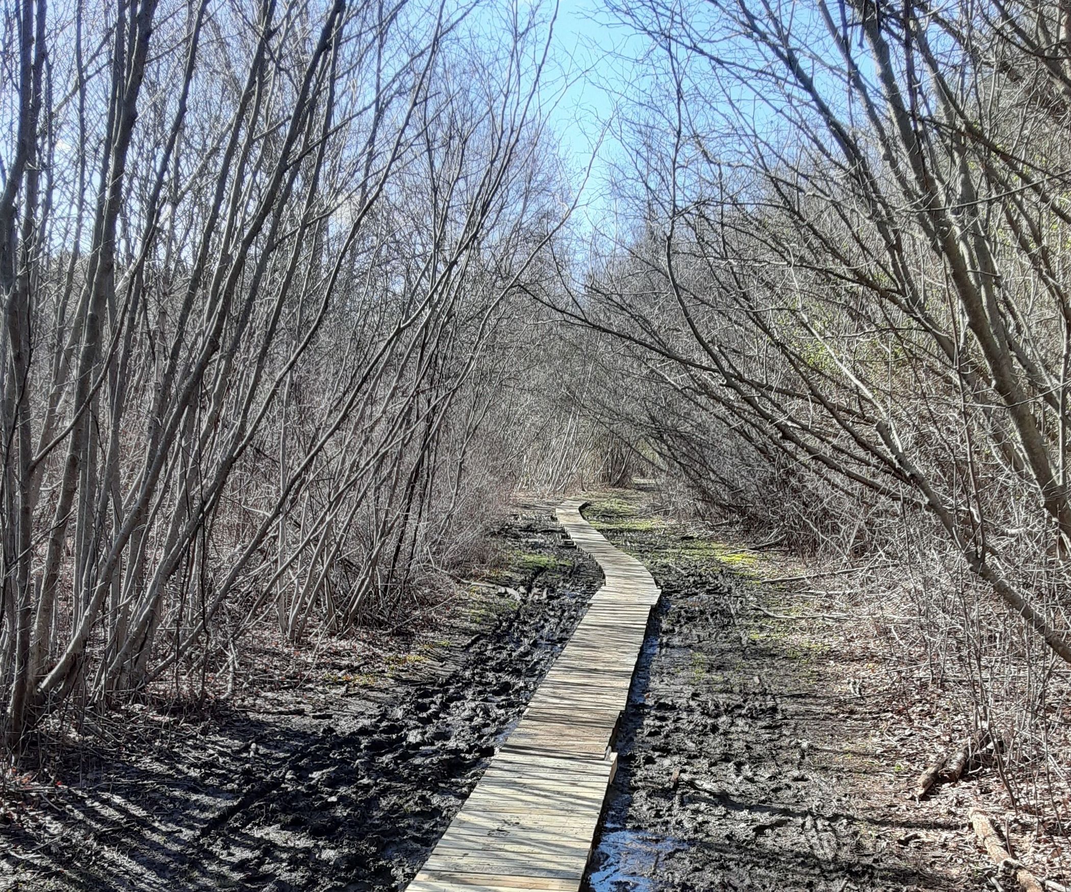 Upcycled Nature Board Walk : 6 Steps (with Pictures) - Instructables