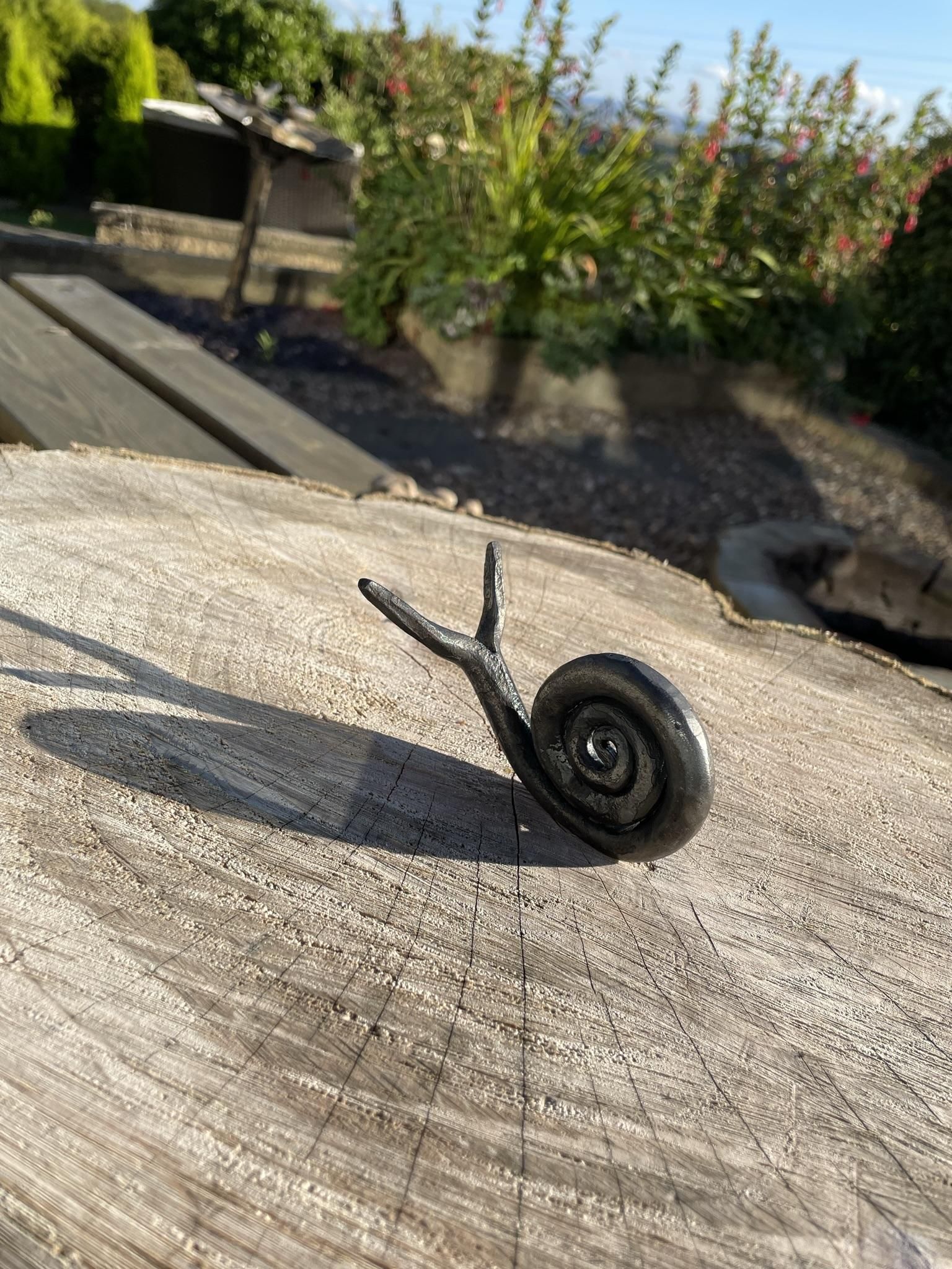 A Snail - With a Spring in It's Step : 8 Steps (with Pictures ...