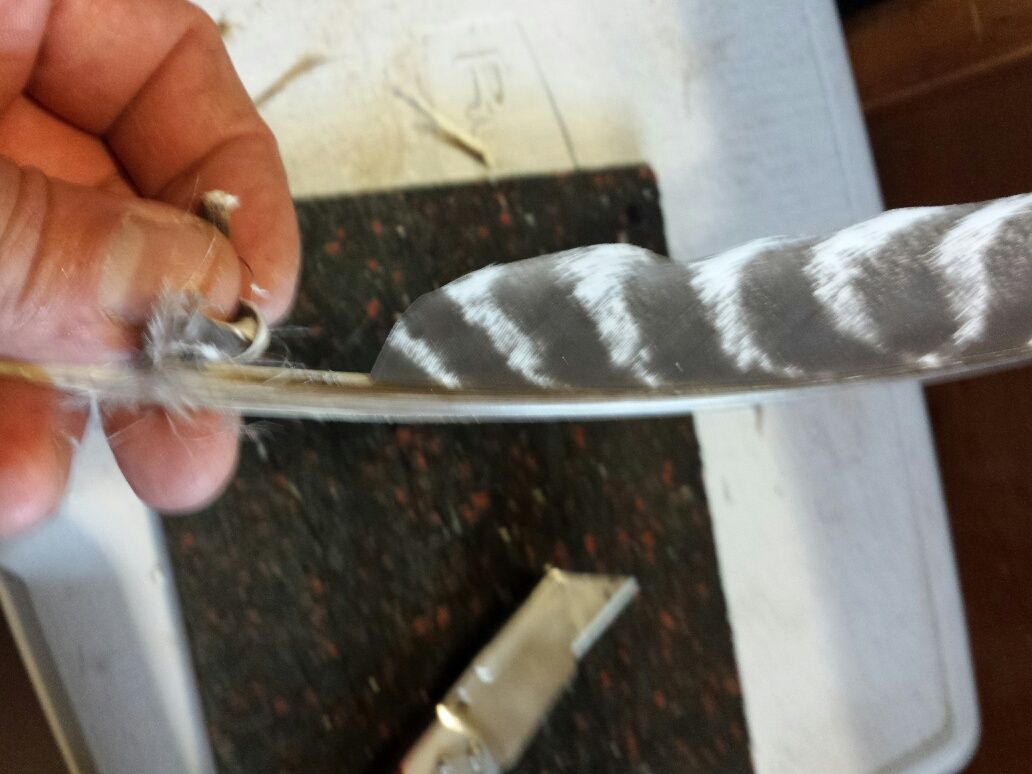Arrow Fletching: Southeastern Two Fletch Method : 11 Steps (with ...