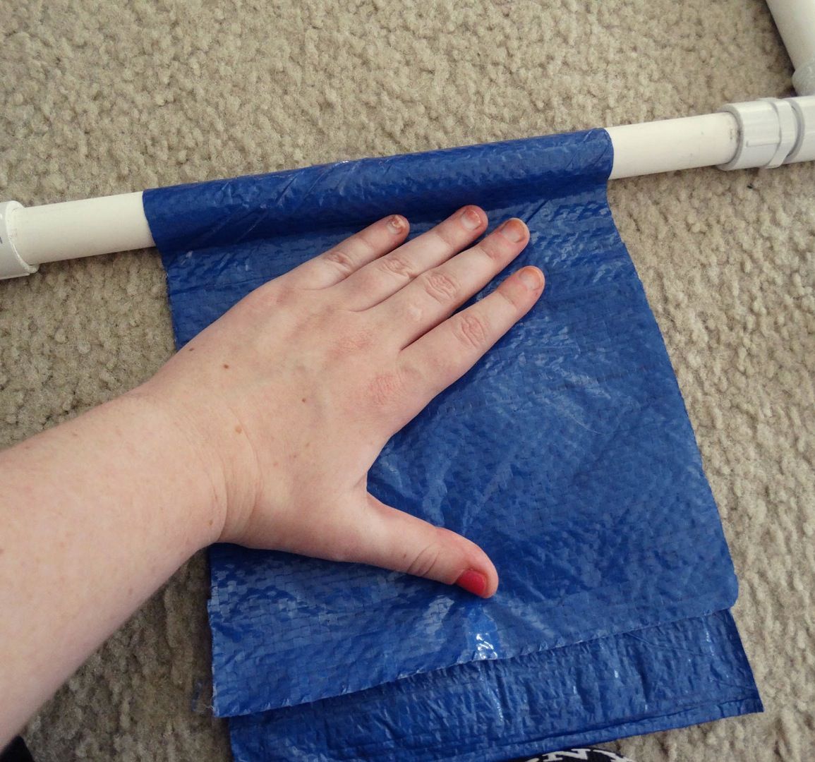 Raising Giant Silk Moths : 15 Steps (with Pictures) - Instructables