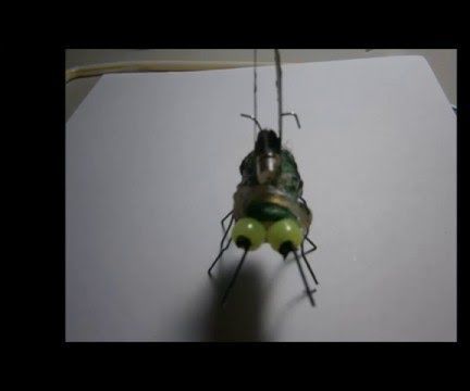 Bio Robot : 12 Steps - Instructables