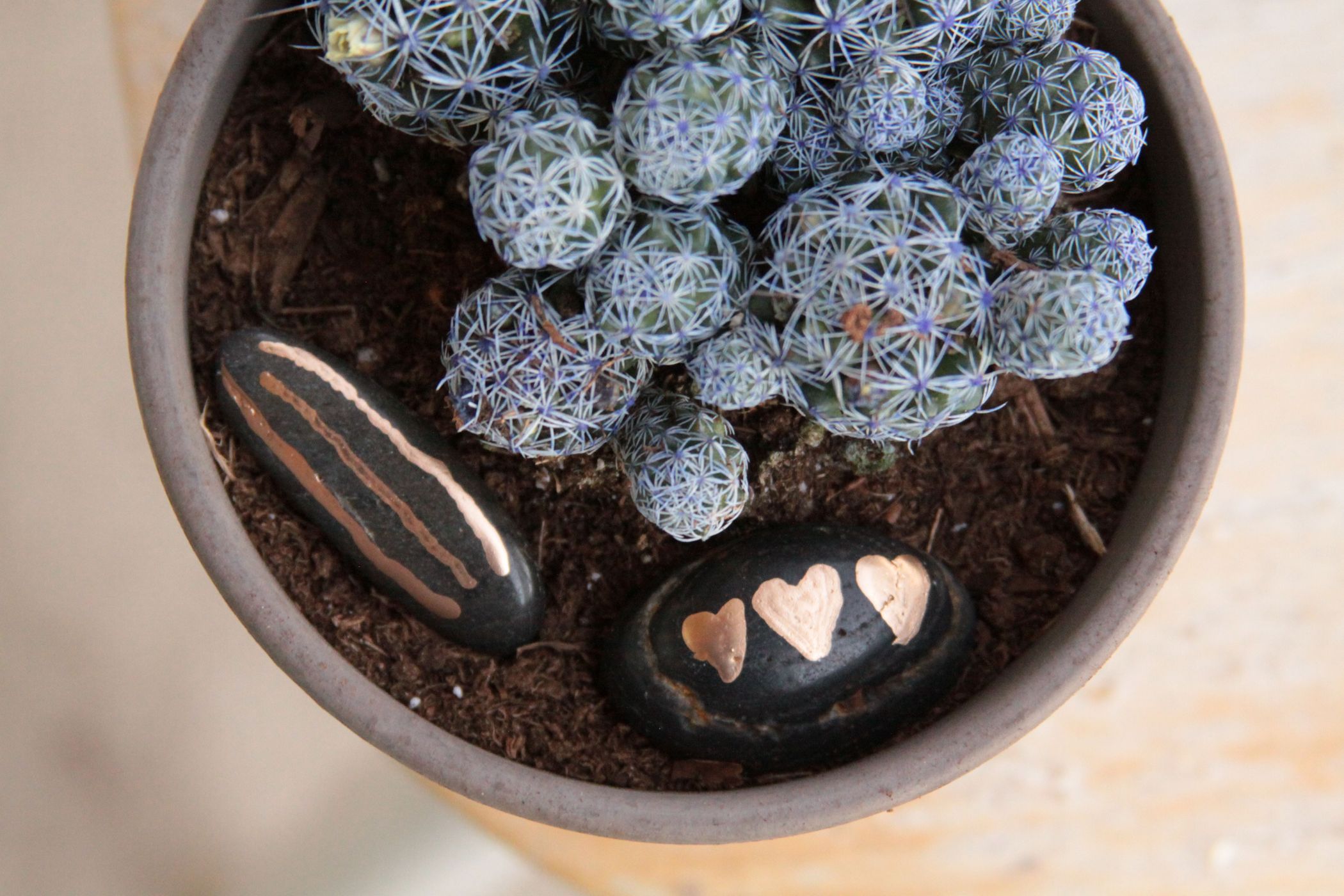 Garden Charms : 5 Steps (with Pictures) - Instructables