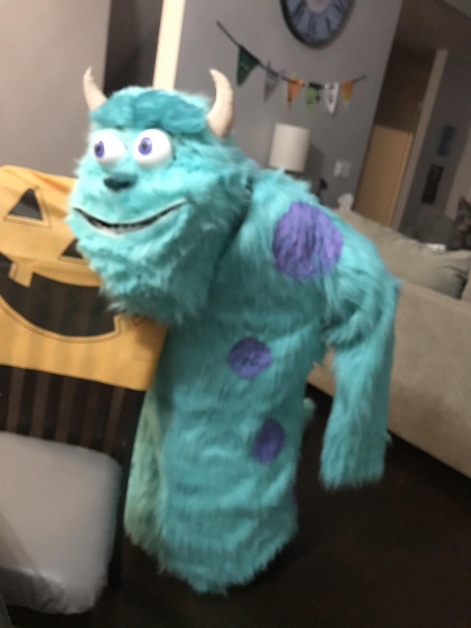 Sulley (Trademark Disney) Monster Homemade Halloween Costume : 11 Steps ...