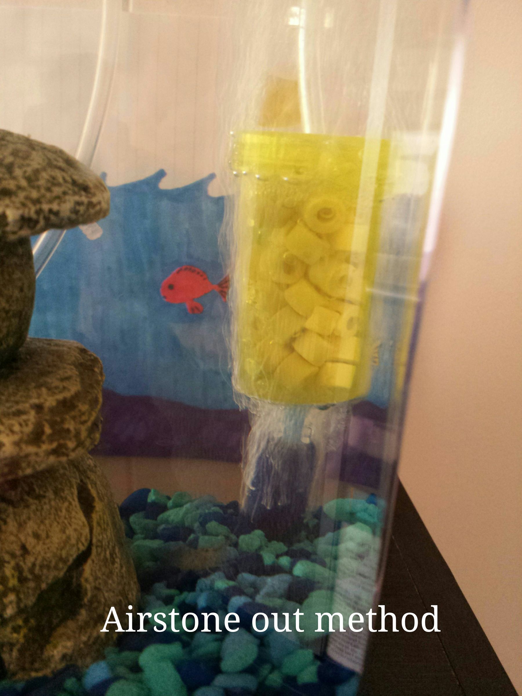 Fish Tank Microfilter : 5 Steps - Instructables