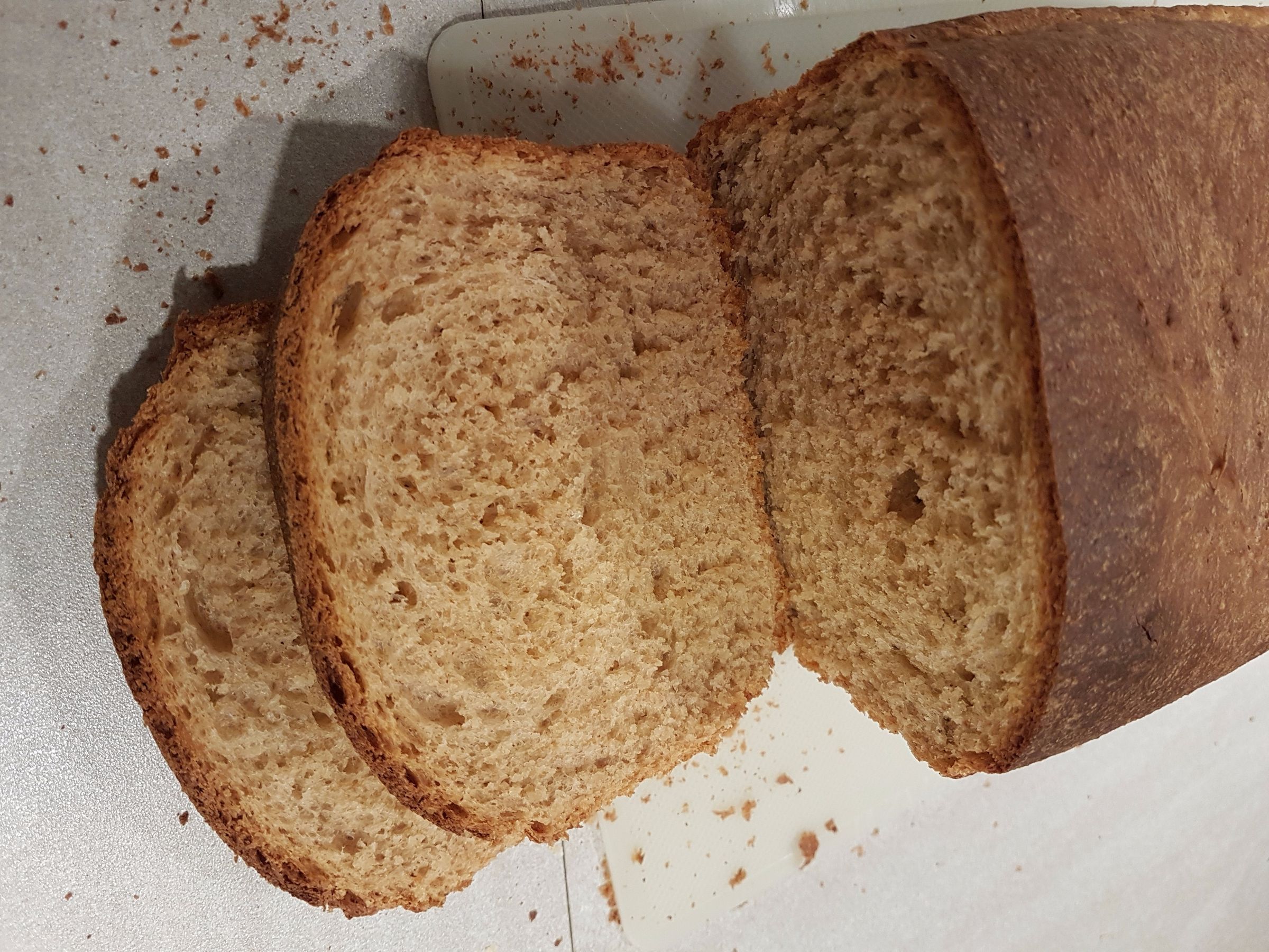 Teff Bread in Metric : 5 Steps (with Pictures) - Instructables