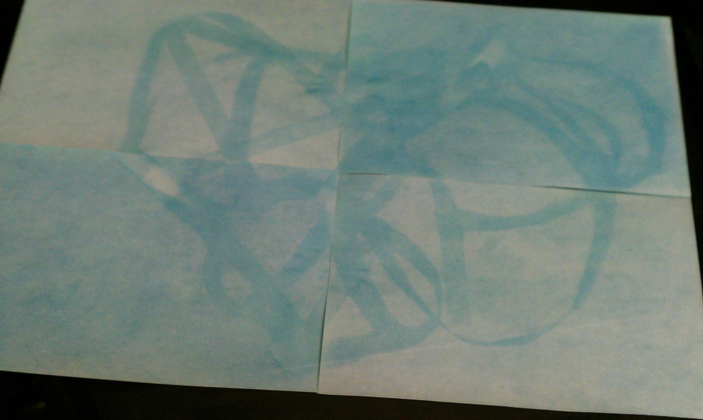 Capturing Translucent Shadows With Cyanotype : 8 Steps - Instructables