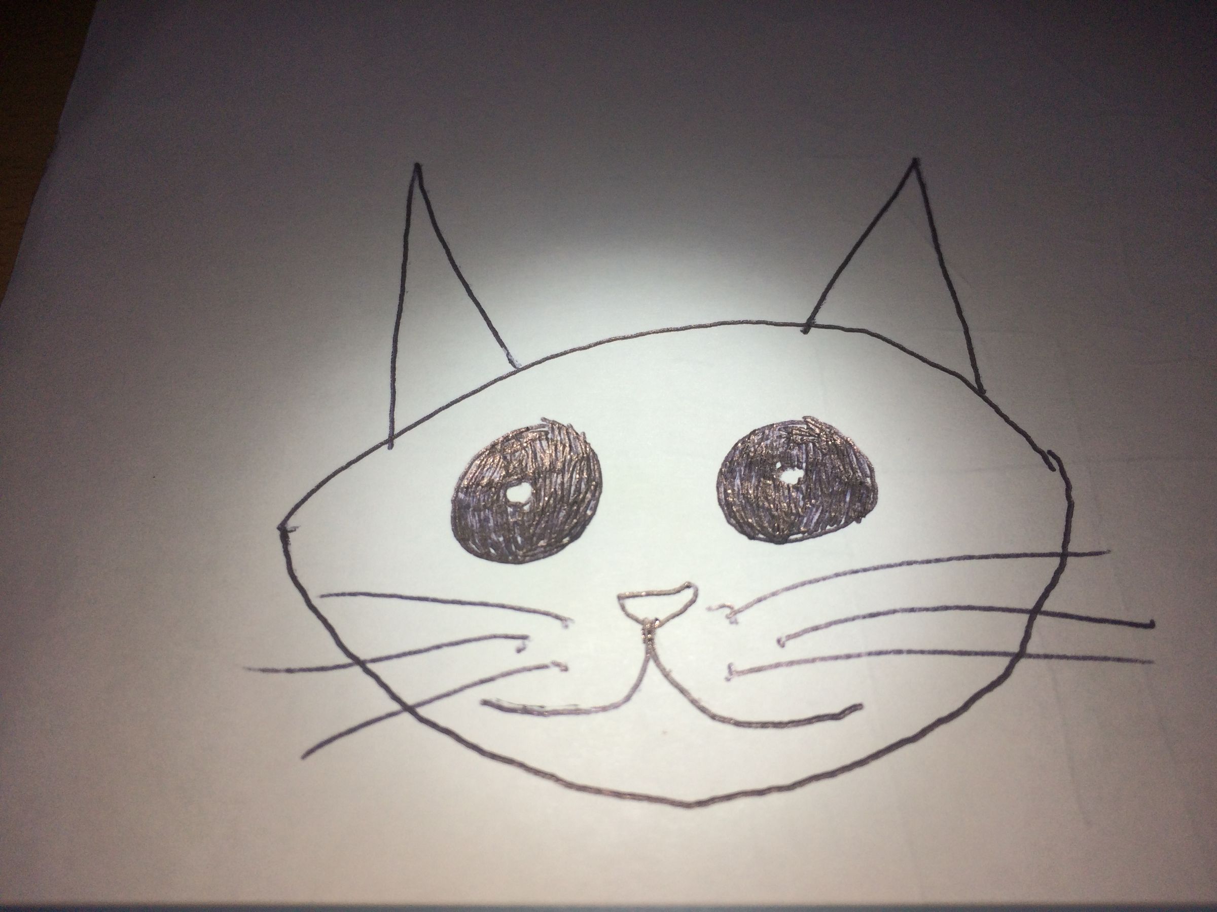 How to Draw a Simple Cartoon Cat : 12 Steps - Instructables