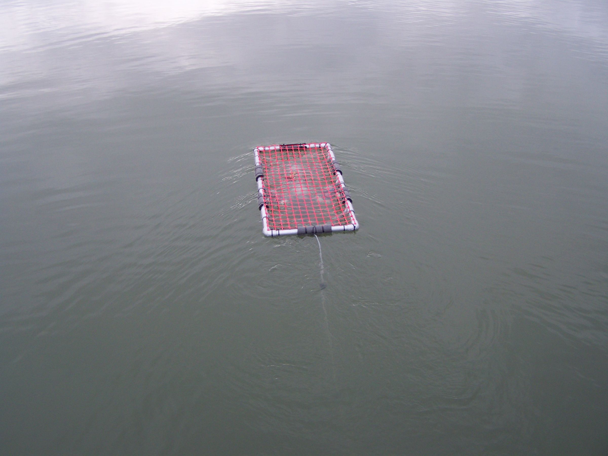 ROV : 5 Steps - Instructables