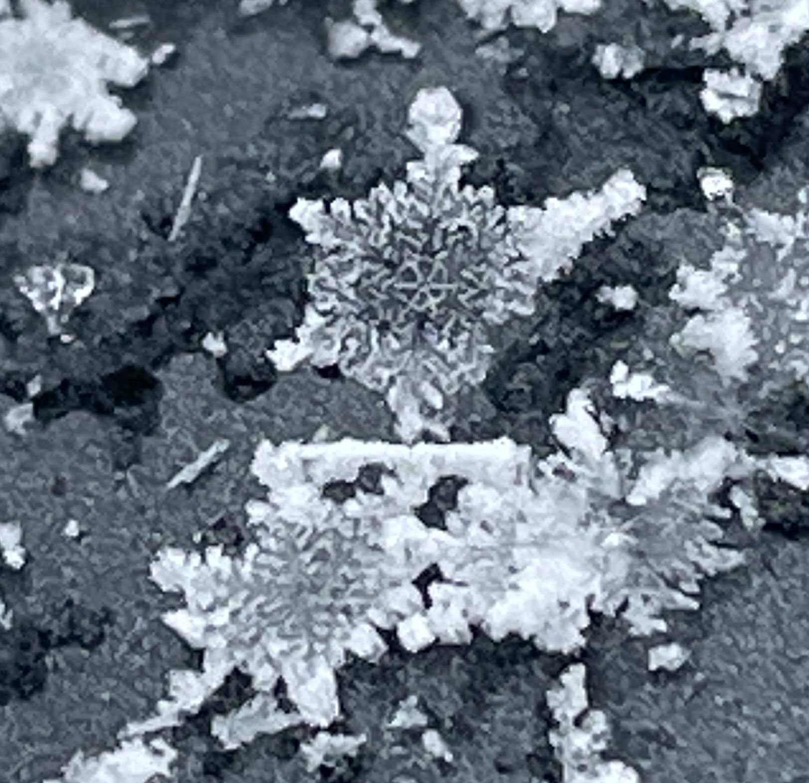 Capture Snowflakes With Photography (with Pictures) - Instructables