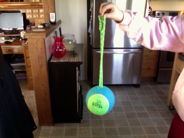How to Make a Homemade Jolly-Ball : 4 Steps - Instructables