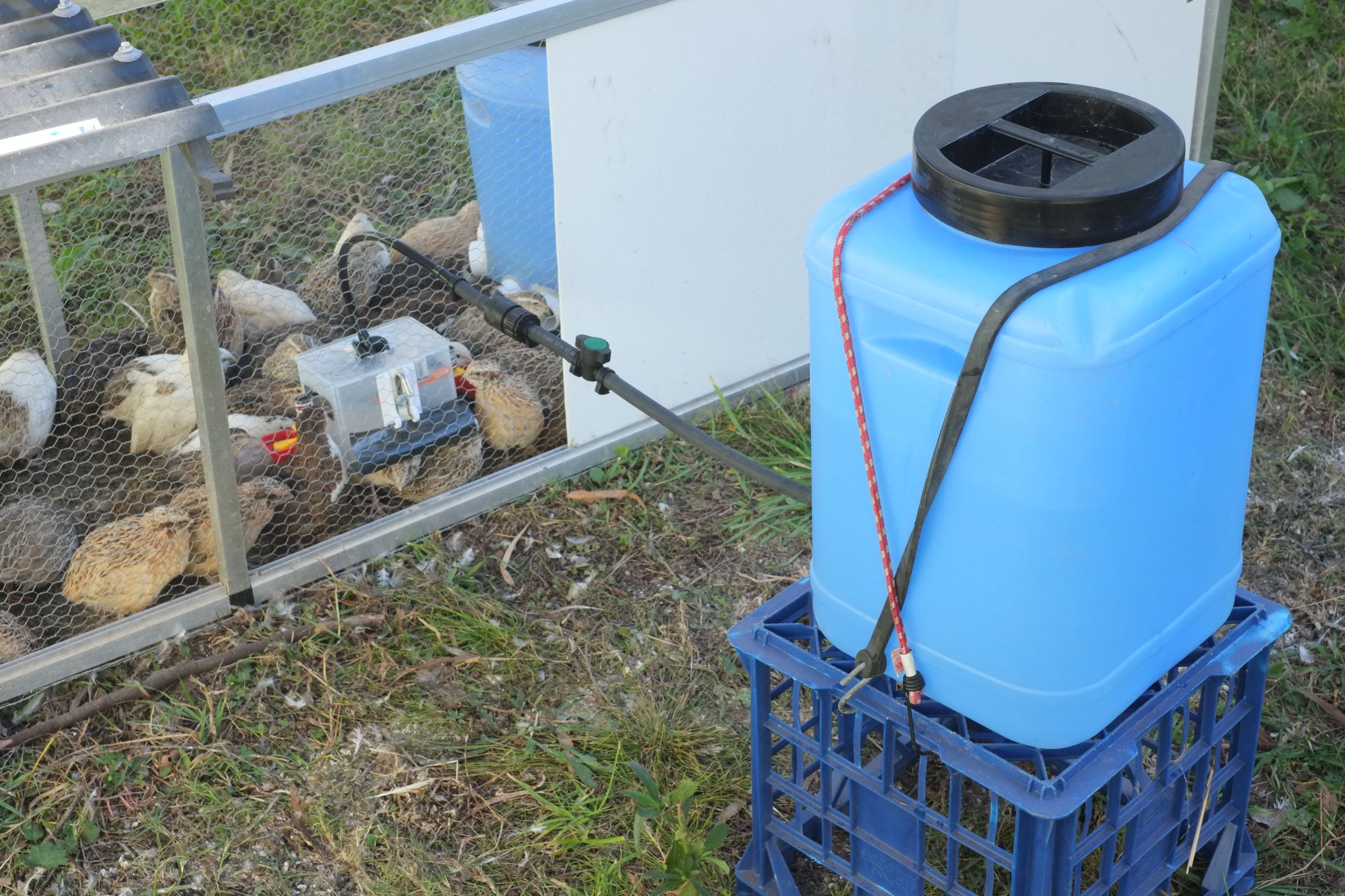 Quail or Chicken Drinker to Suit a Moving Tractor or Hutch : 10 Steps ...