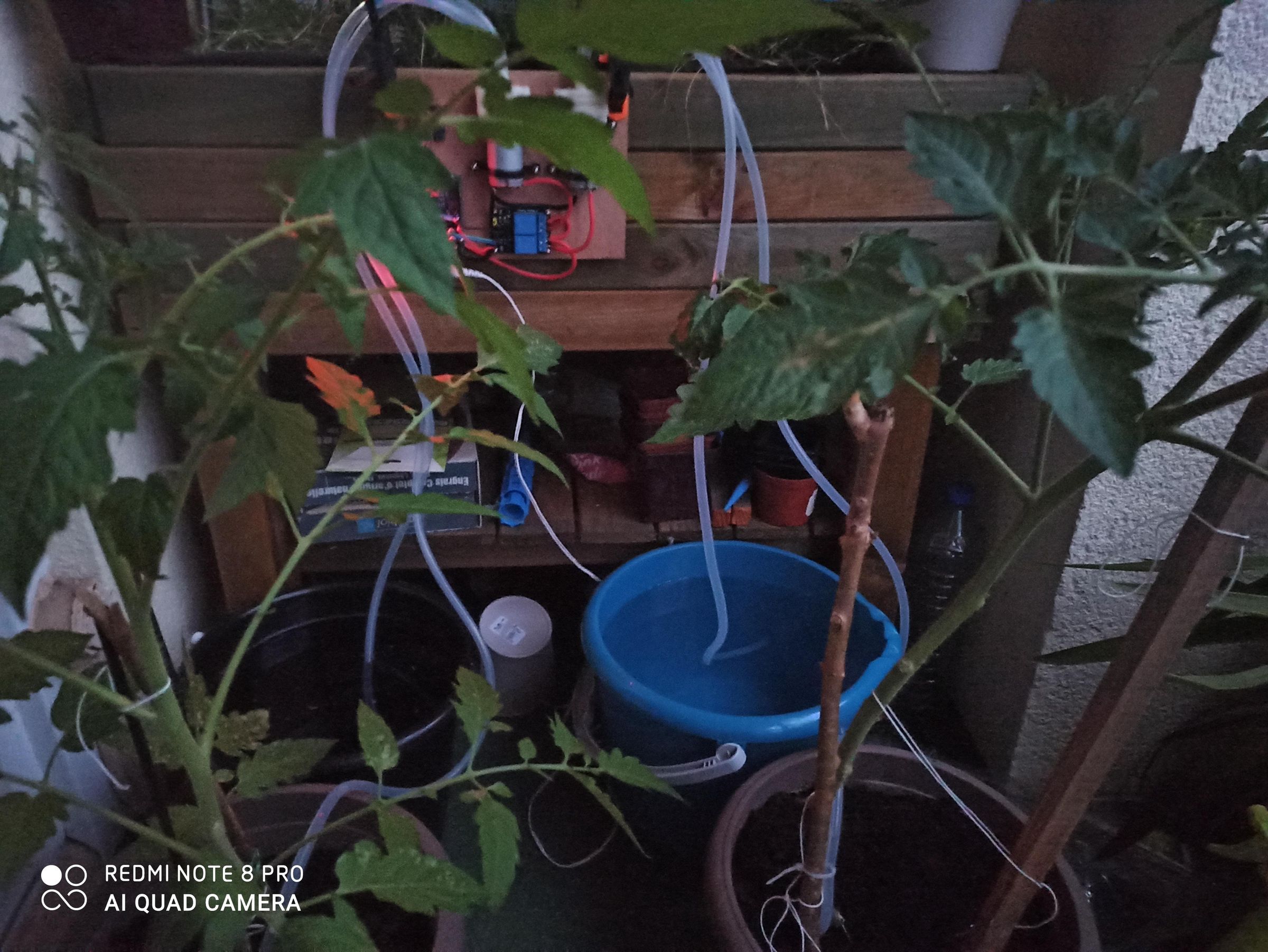 Easy Programmable Watering System With Arduino : 4 Steps - Instructables