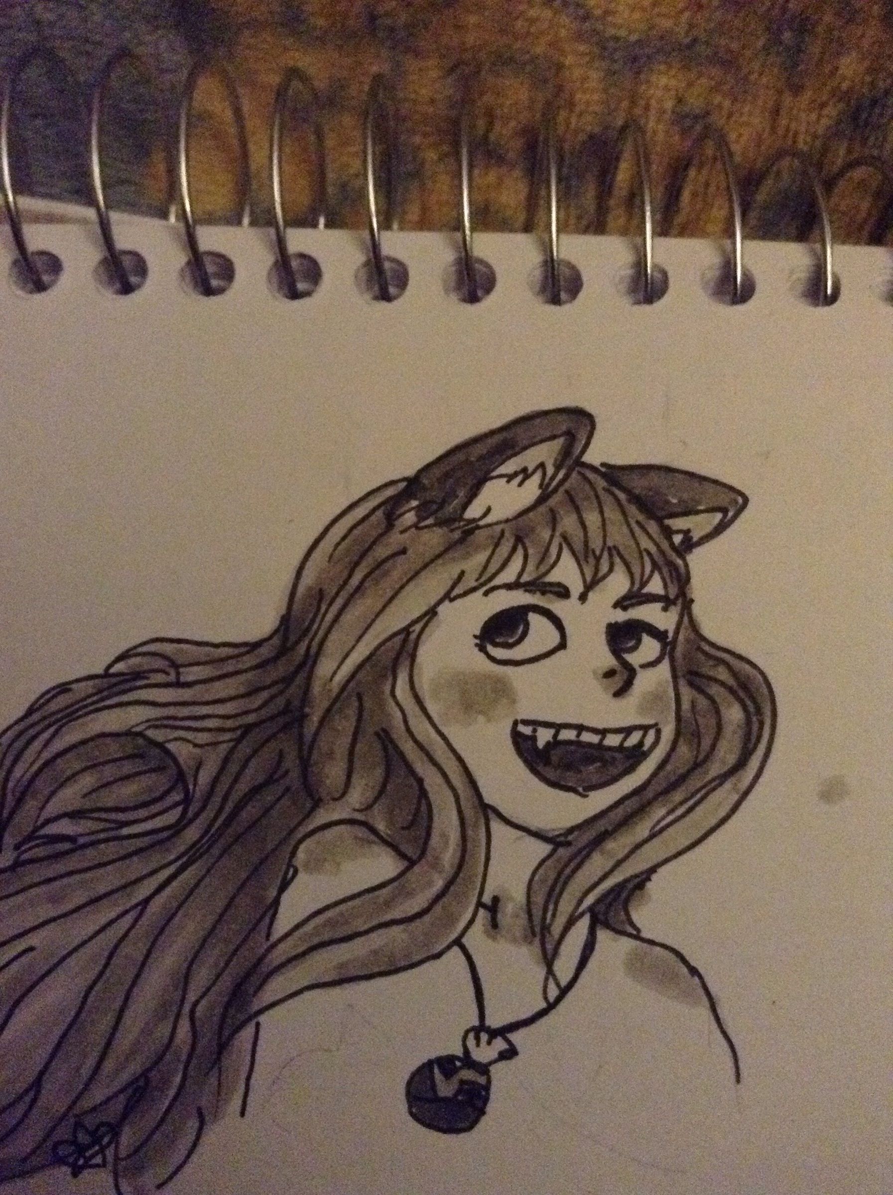 Lets Draw Holo! : 5 Steps - Instructables