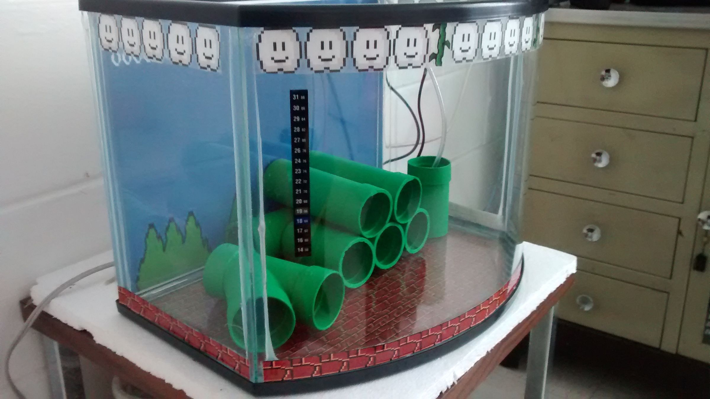 Mario Bros Fish Tank : 5 Steps (with Pictures) - Instructables