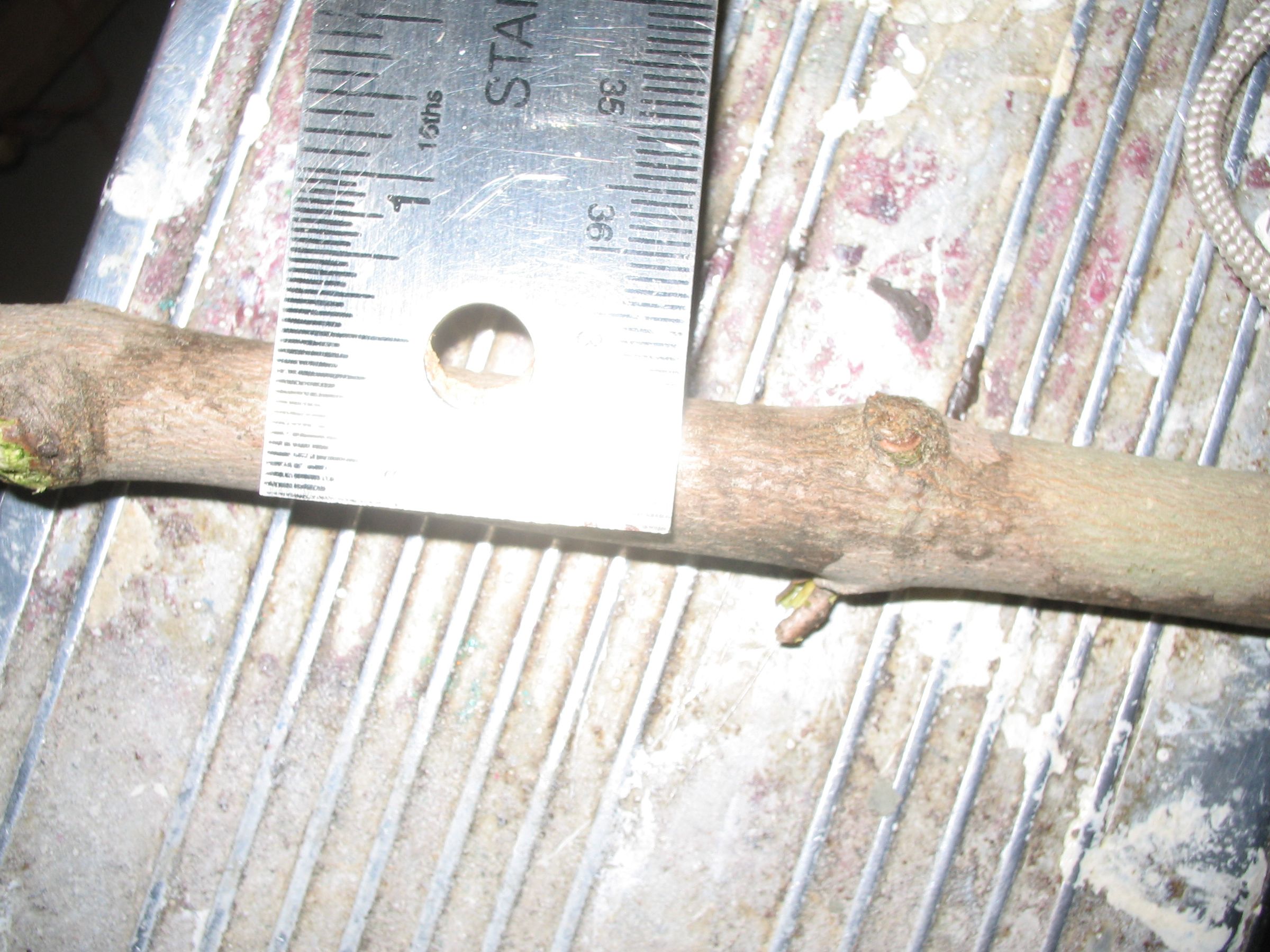 How to Make a Bow and Arrow : 7 Steps - Instructables