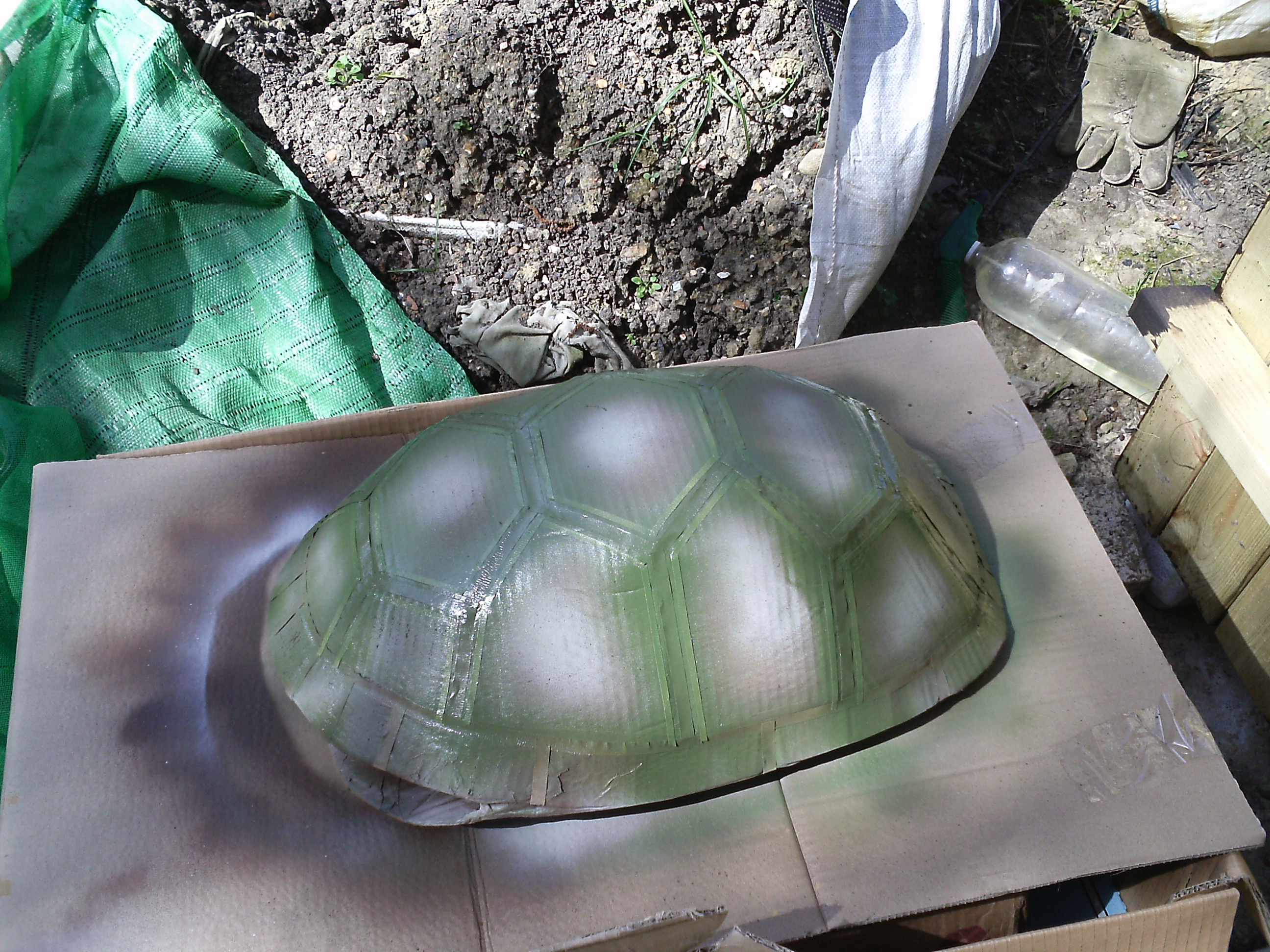 Galapagos Tortoise Shells : 4 Steps (with Pictures) - Instructables