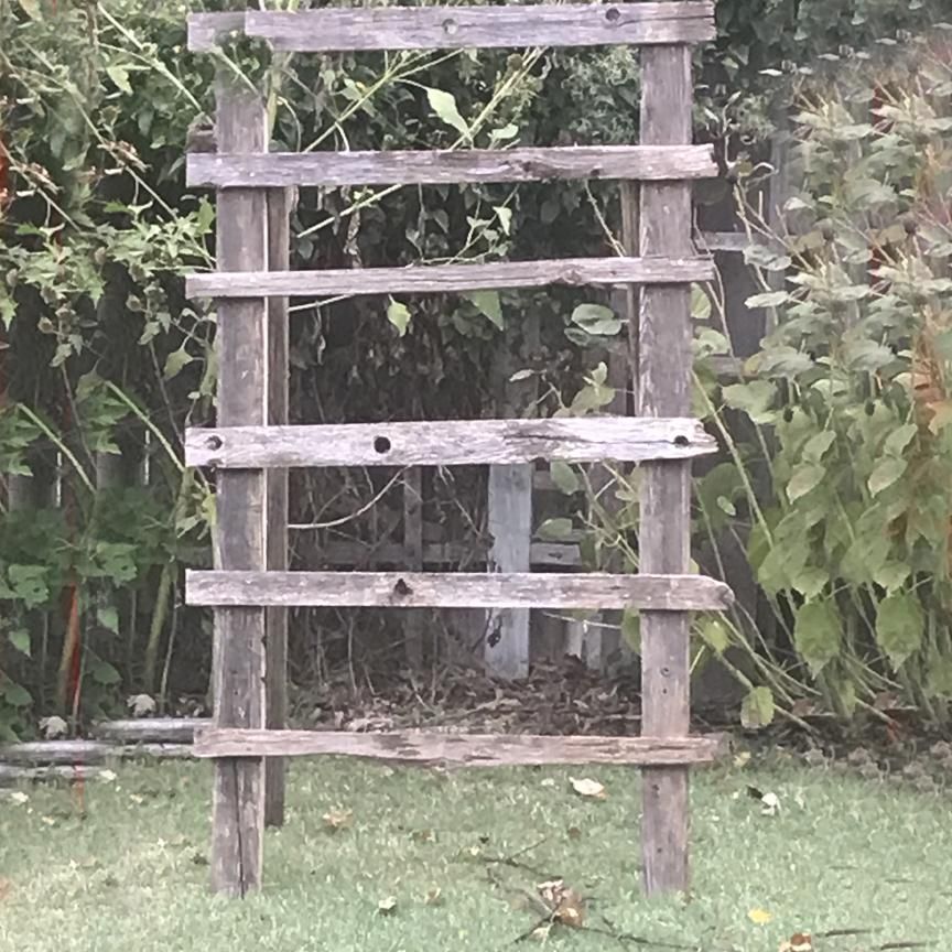 Bean Ladder : 3 Steps (with Pictures) - Instructables